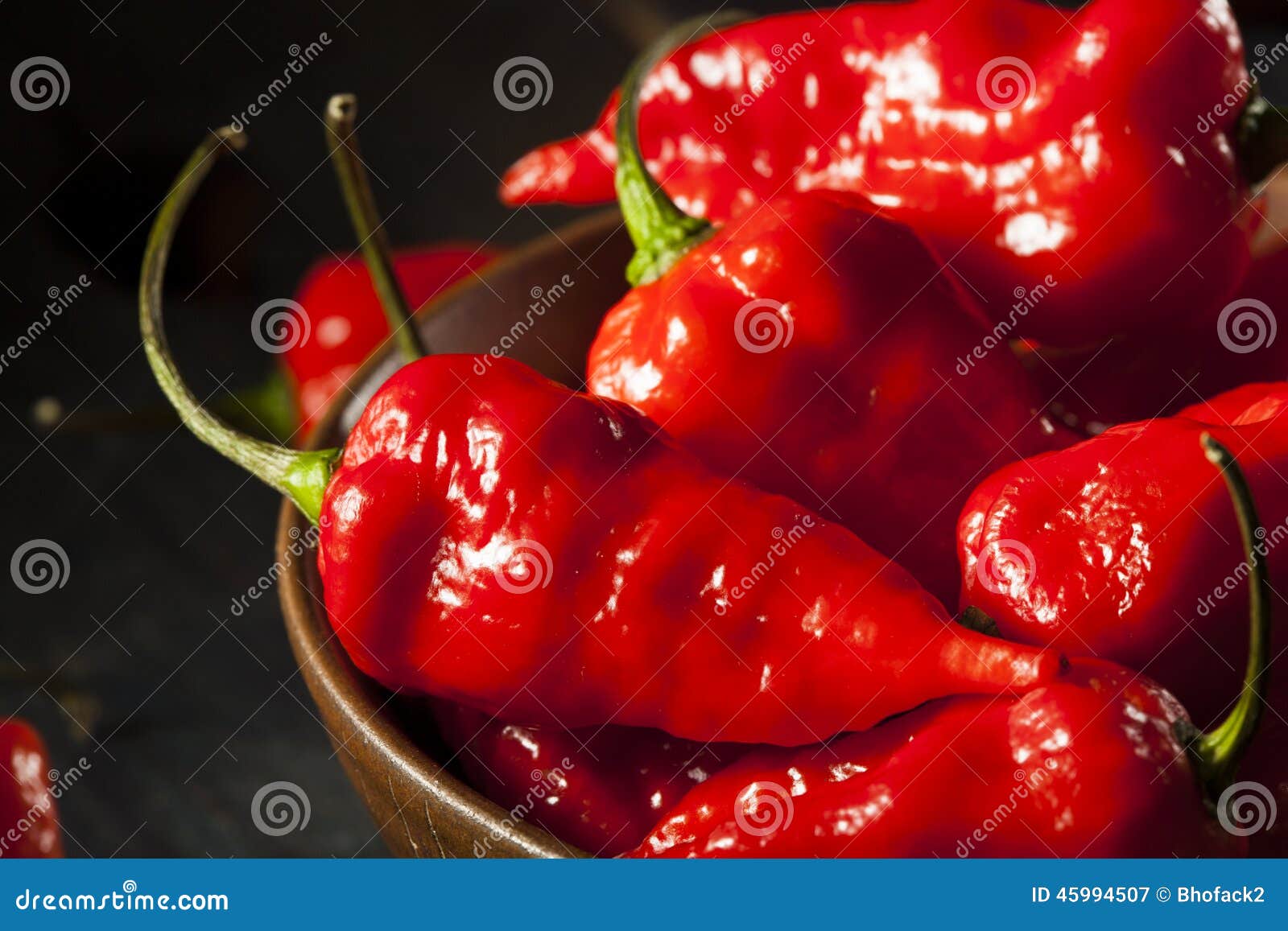 Bhut Jolokia - Chilli Snake Royalty-Free Stock Photography ...