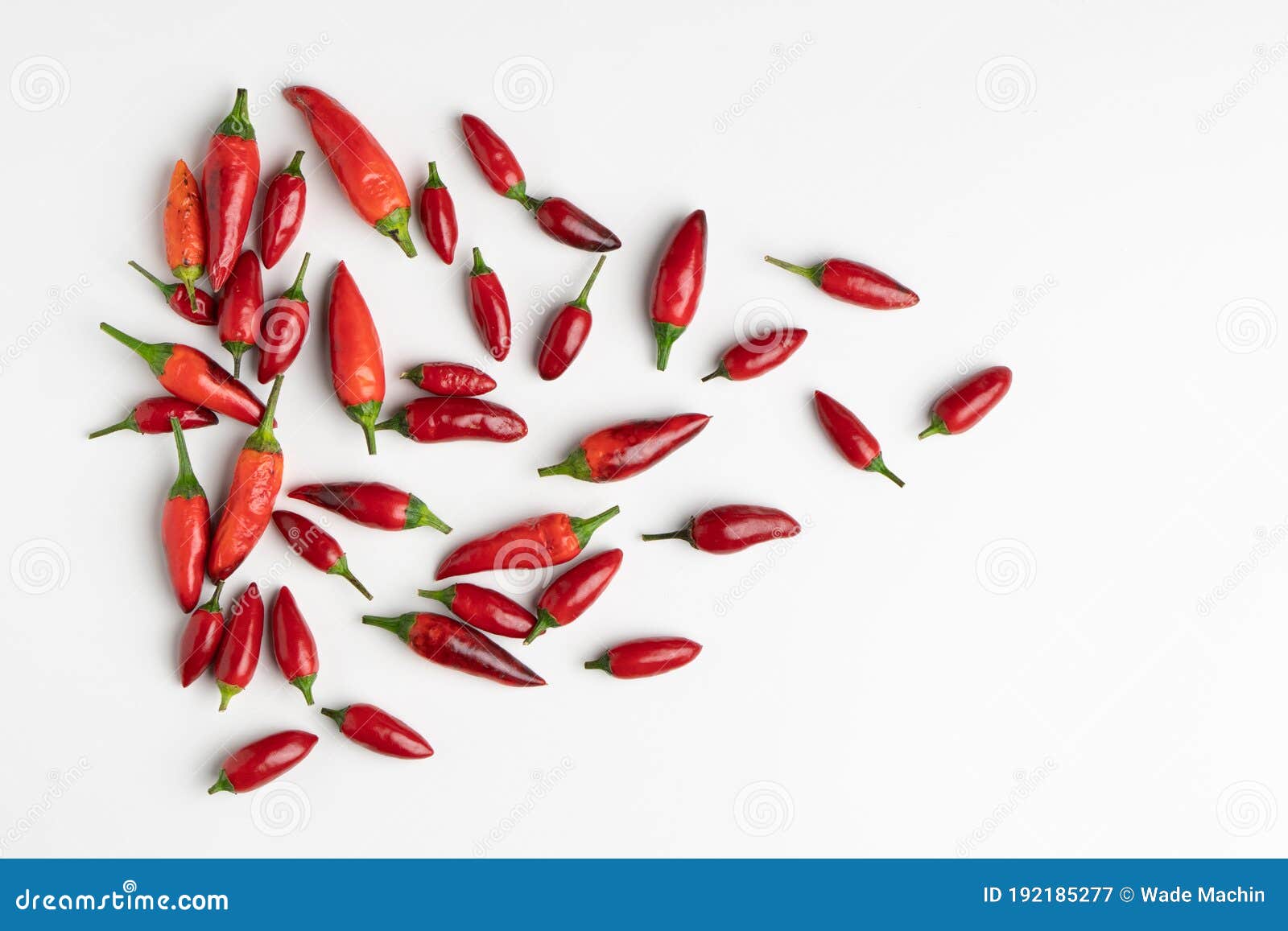 Spicy Hot Chillies on Isolated Background Stock Image - Image of ...