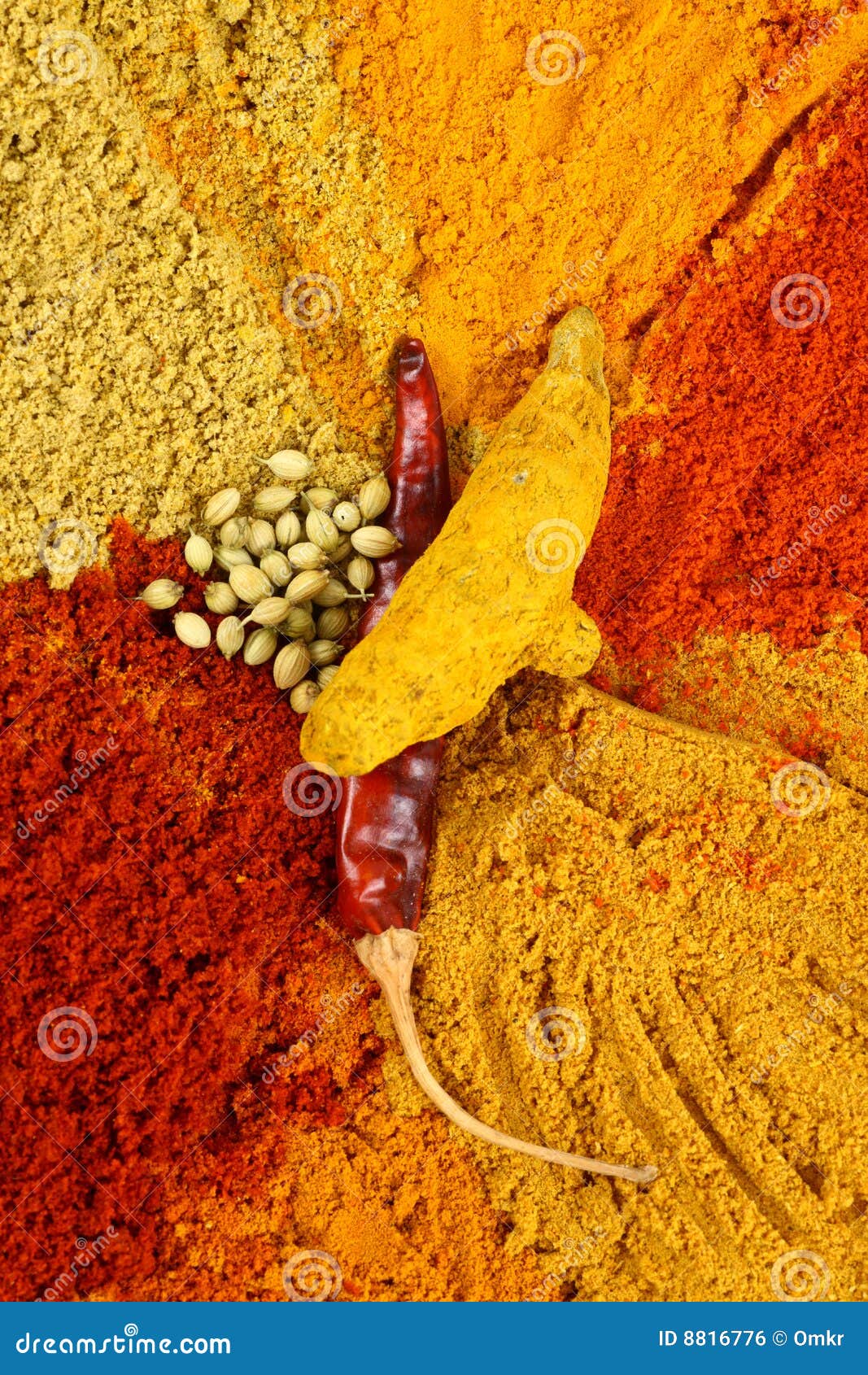 Spicy powders stock photo. Image of cloves, curried, dried - 8816776