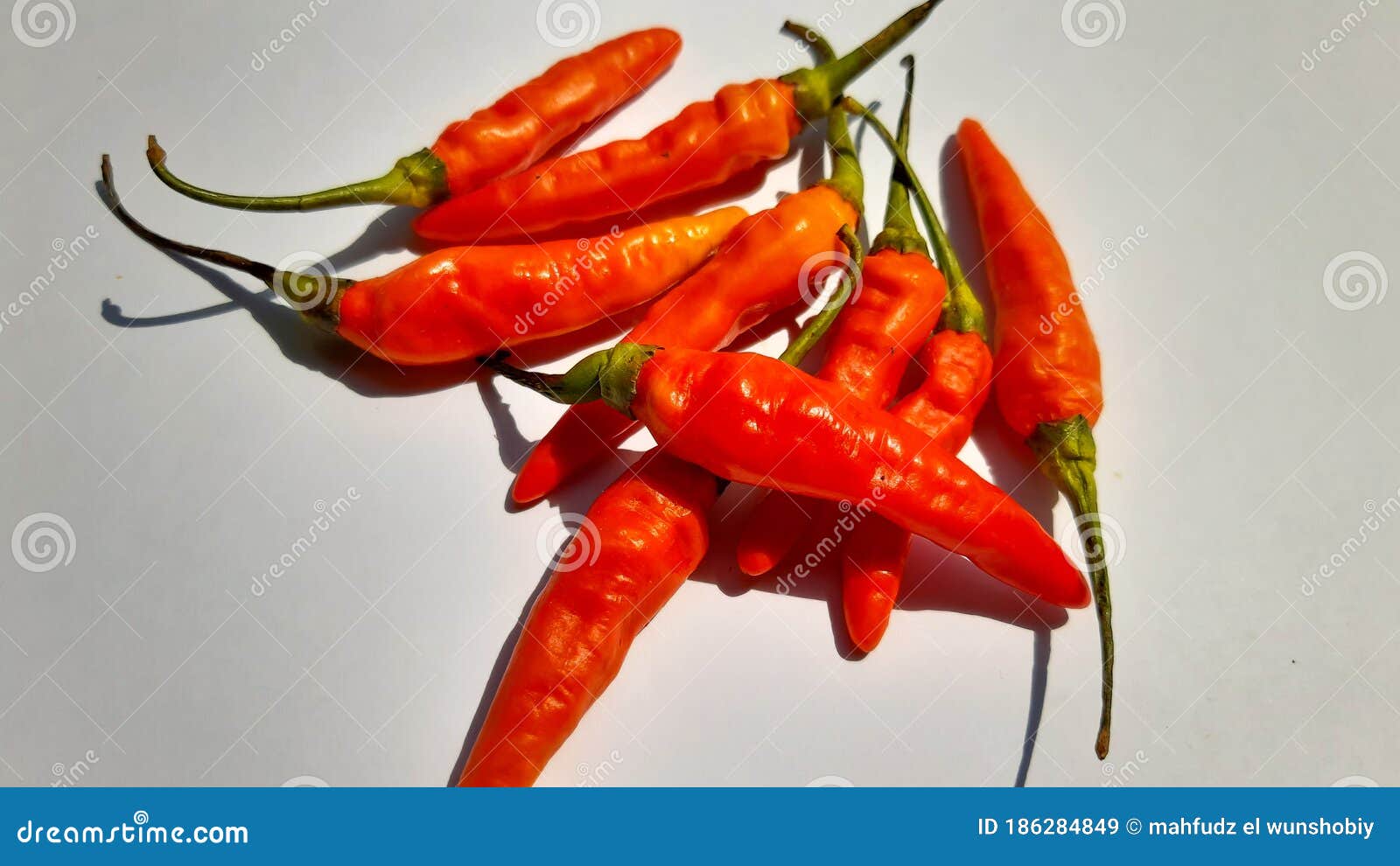 Spicy Red Chilli Isolated White Background Stock Image - Image of ...
