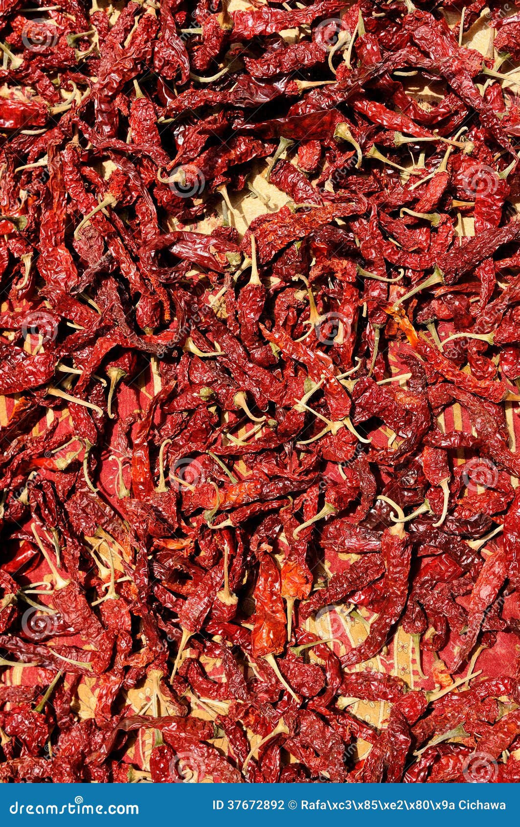 Spicy red pepper stock photo. Image of indian, spice - 37672892
