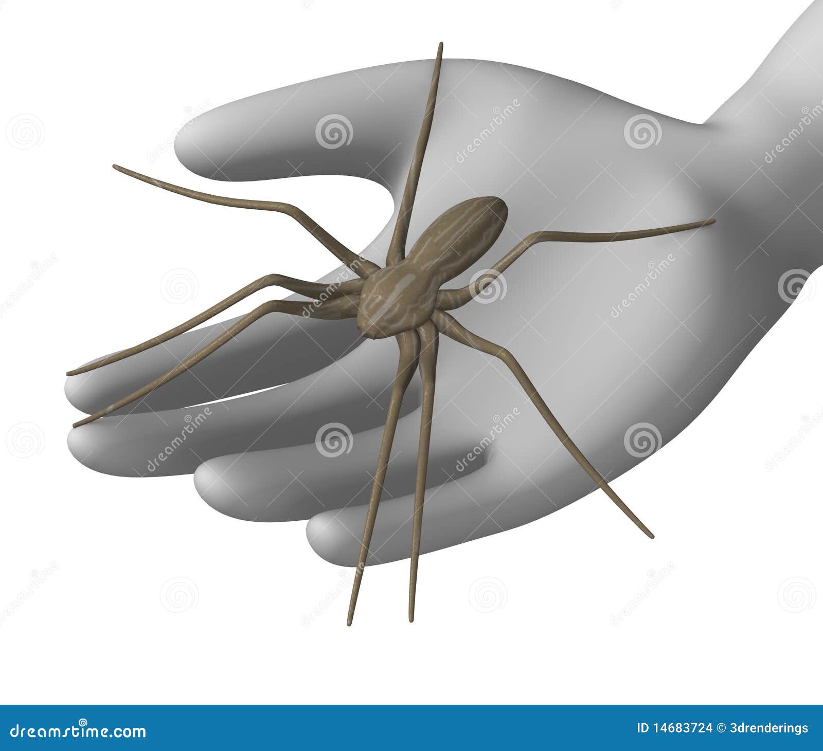Spider stock illustration. Illustration of humanoid, animal - 14683724