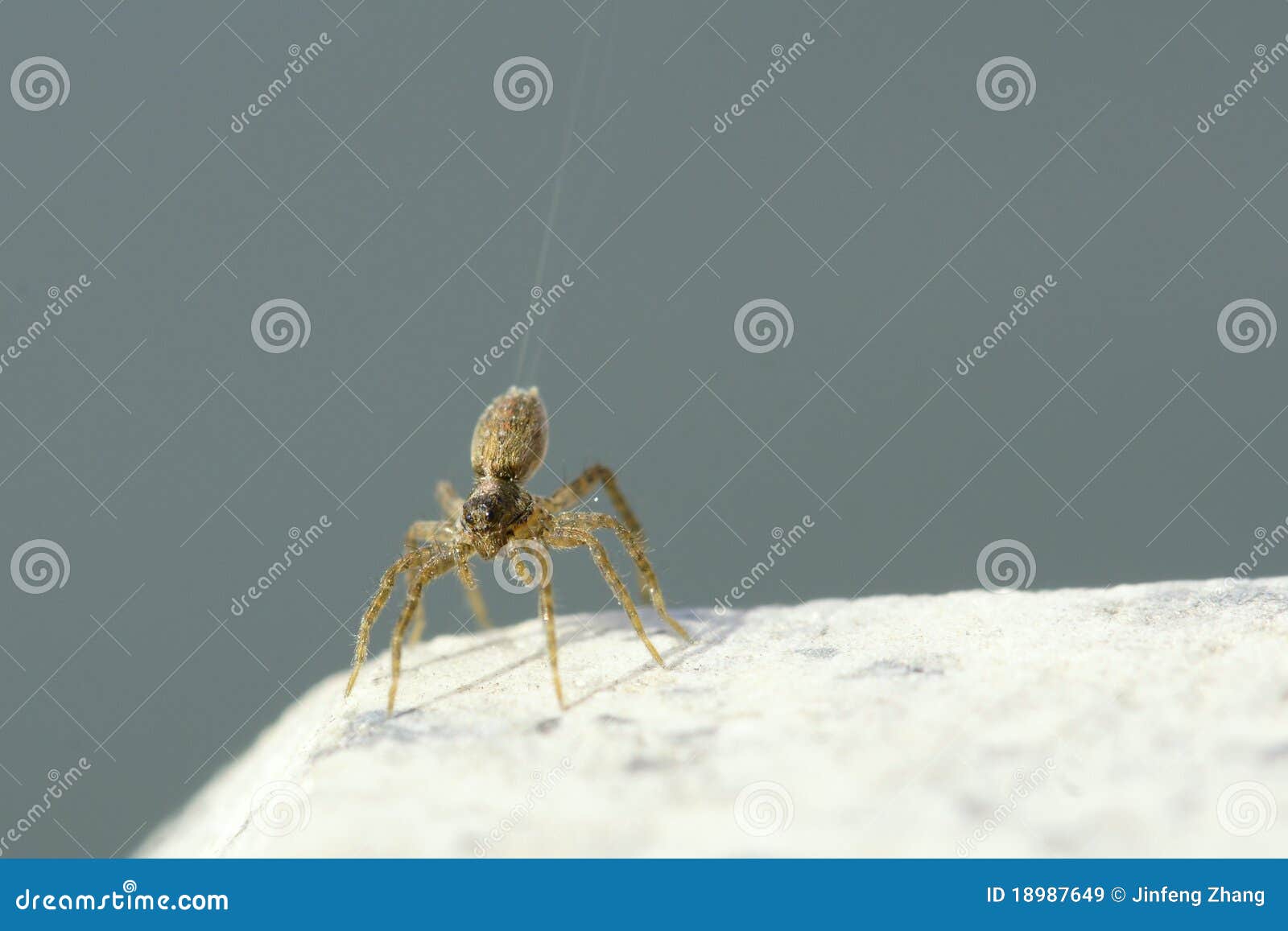 150 Leg Drift Stock Photos - Free & Royalty-Free Stock Photos from ...