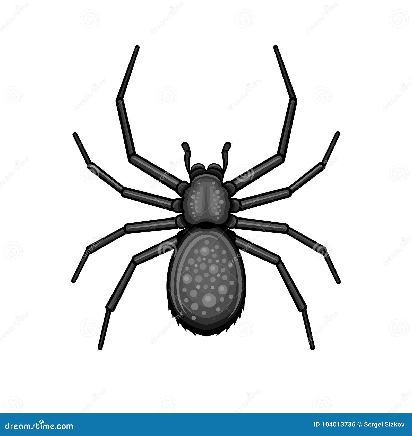 Spider Black Arachnid on White Background. Vector Stock Vector ...