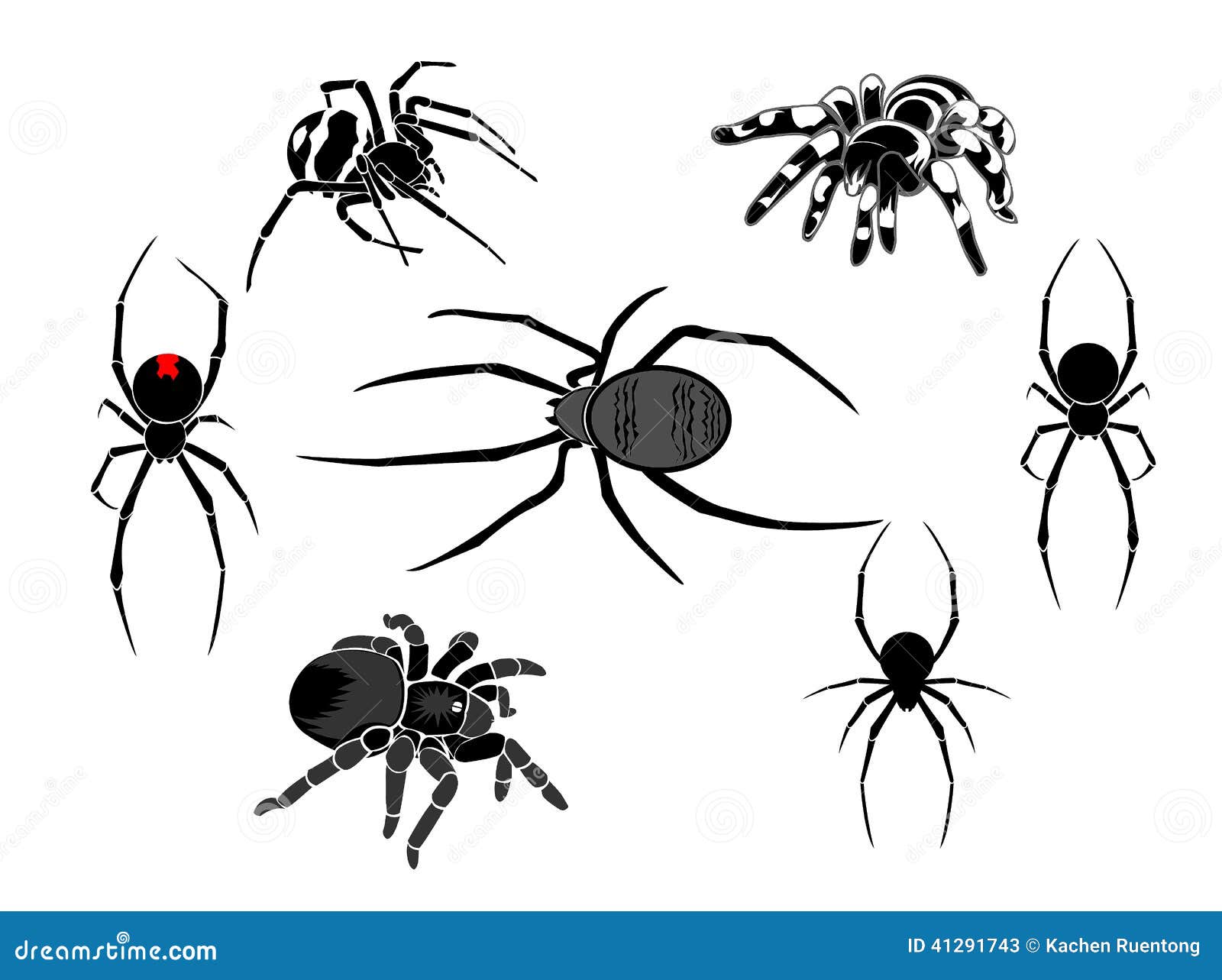 Spider Vector Free Download