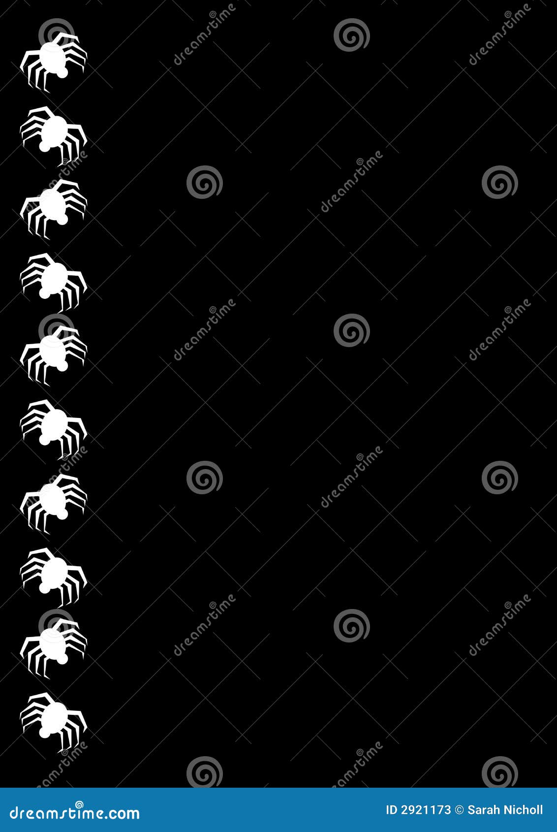Spider Border On White Stock Photography | CartoonDealer.com #2921174