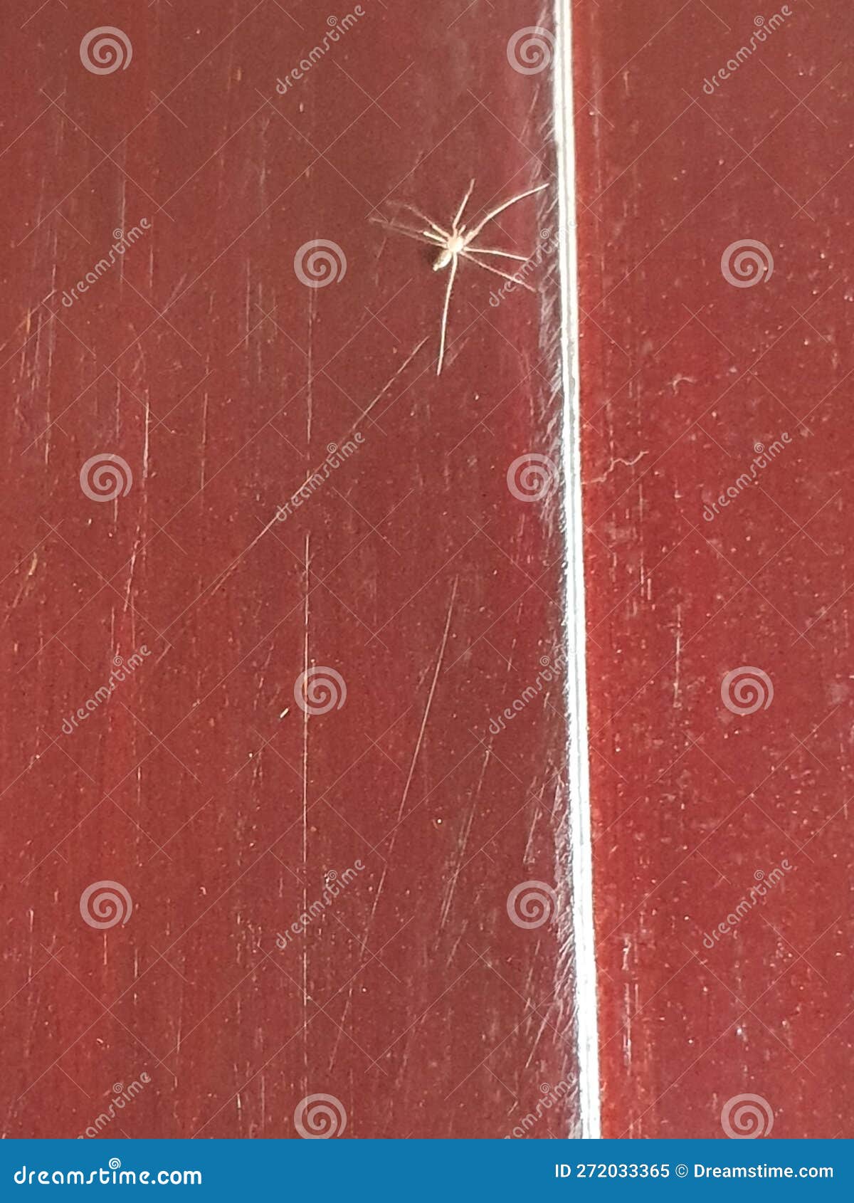 The Spider is Claimbing the Red Wood Stock Image - Image of wood ...