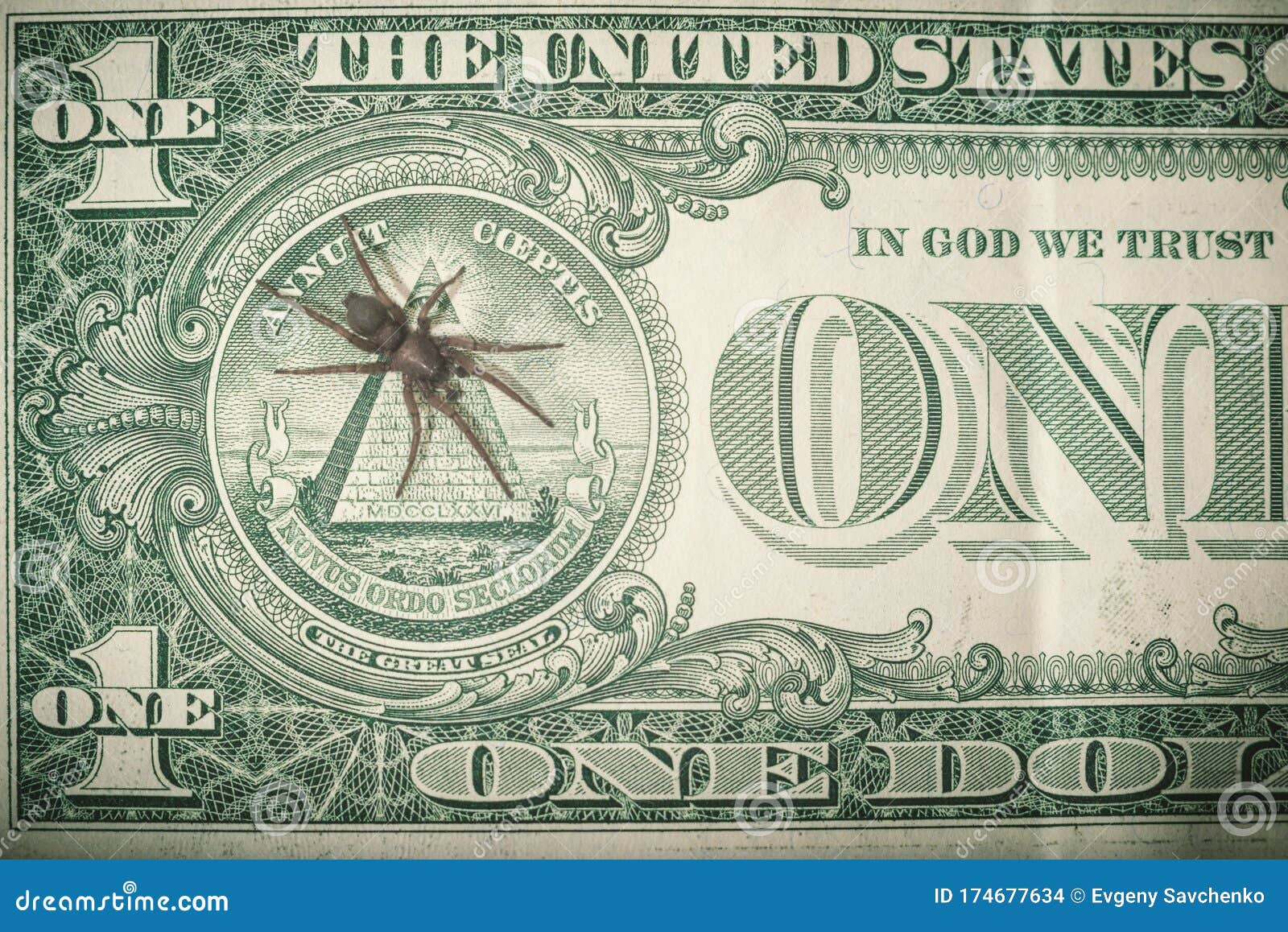 Spider on Pyramidal Banknotes of One US Dollar Stock Photo - Image of ...