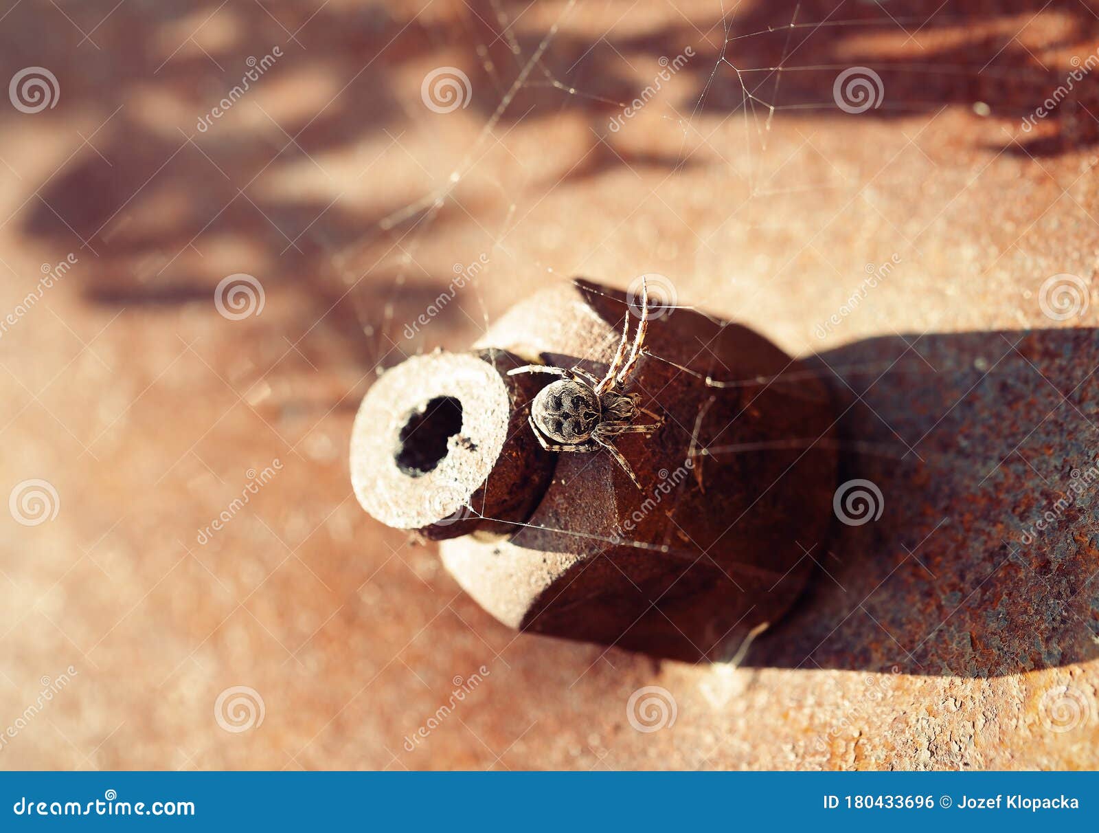 Spider Web On Rusty Metal Fence Background. Royalty-Free Stock Photo ...