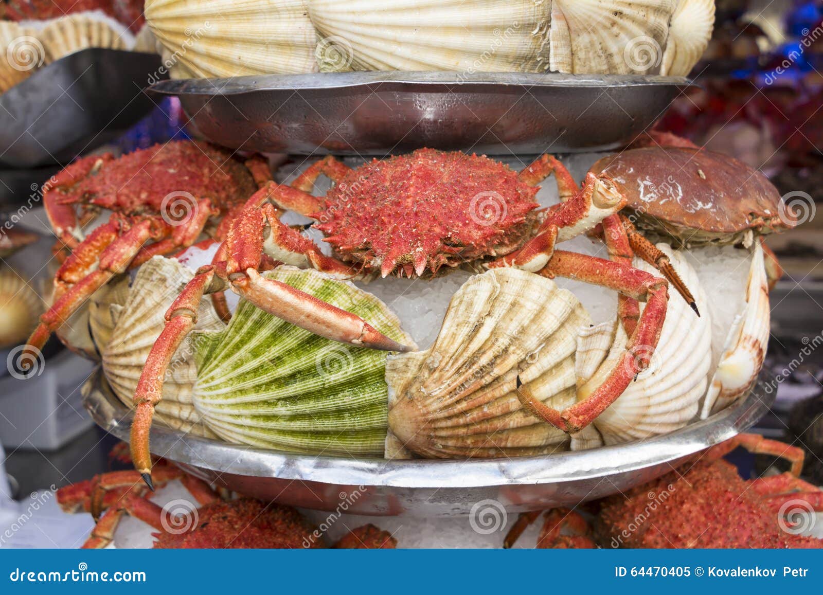 The Spider Crab on Seafood Platter. Stock Image - Image of platter ...