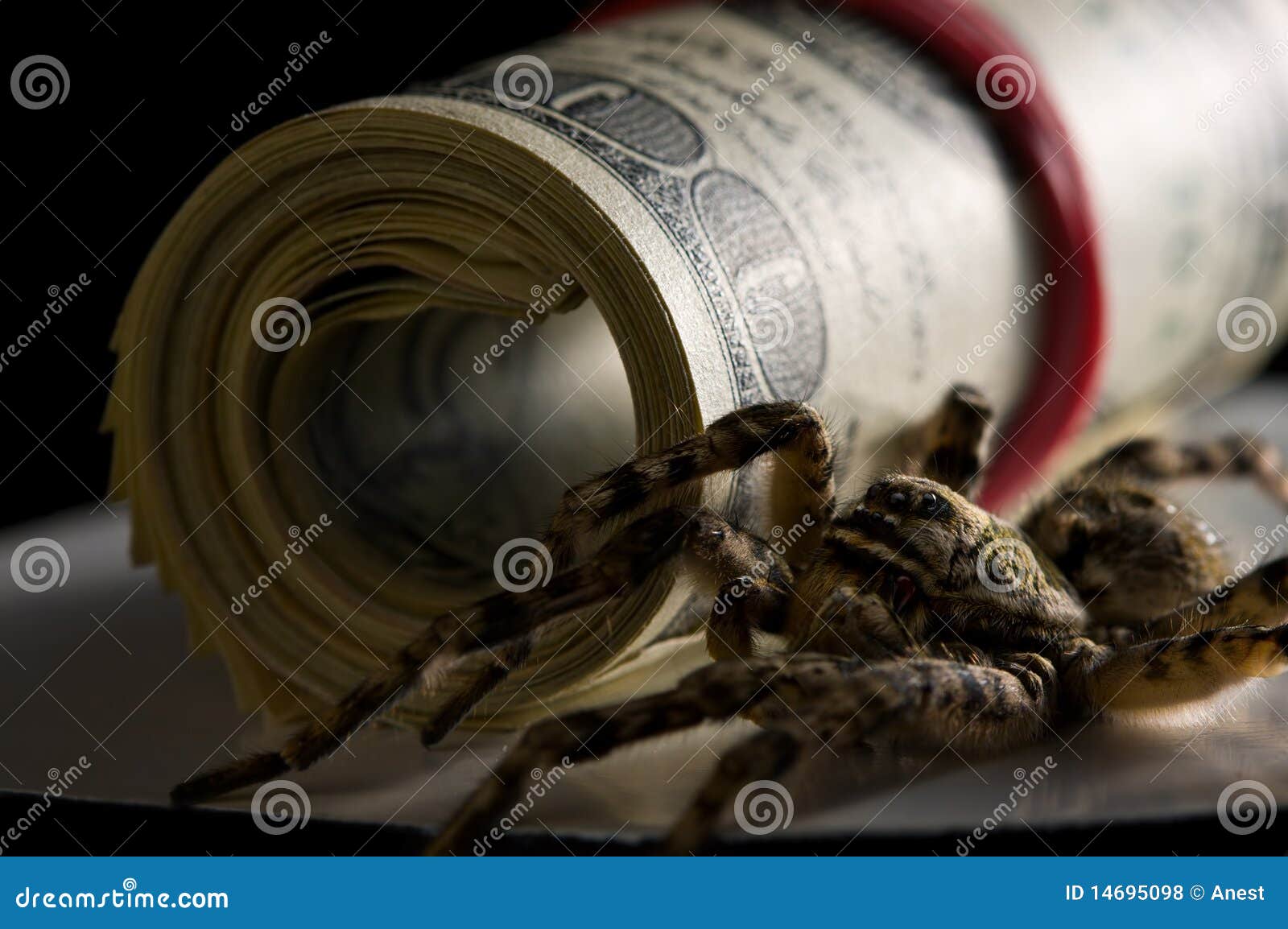 Spider and Dollars - Money Protection Concept Stock Photo - Image of ...