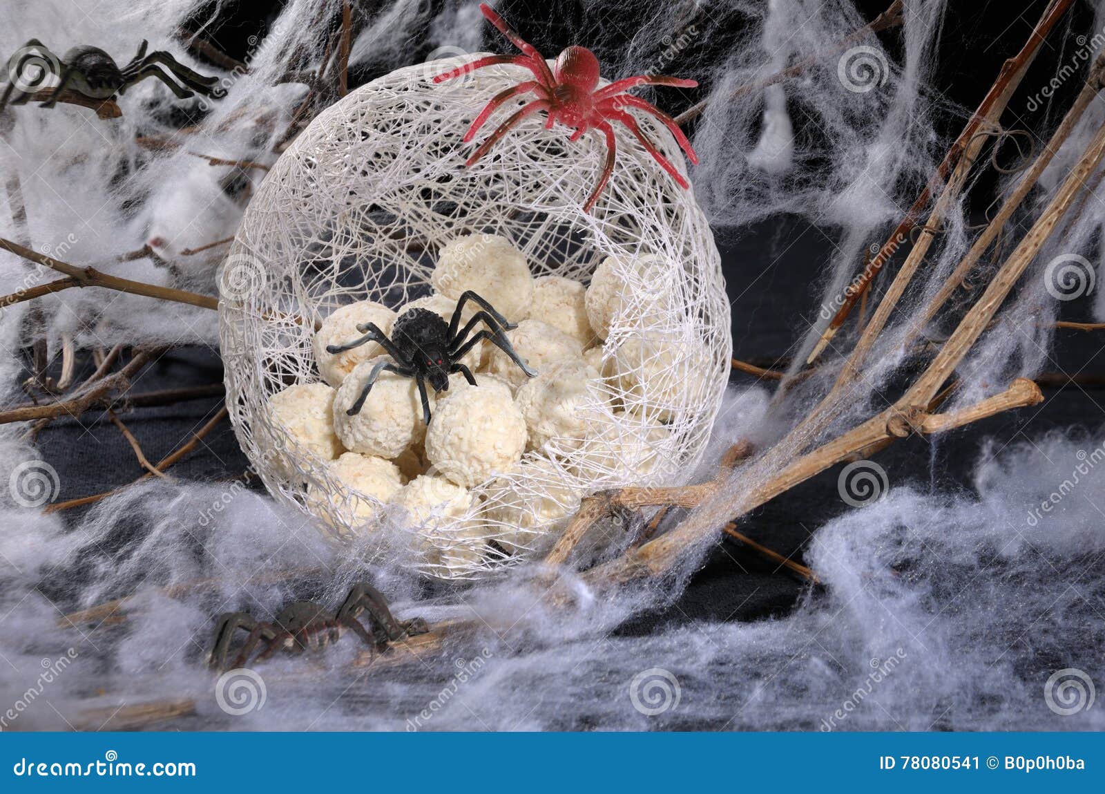 Spider eggs in a cocoon stock image. Image of dainty - 78080541