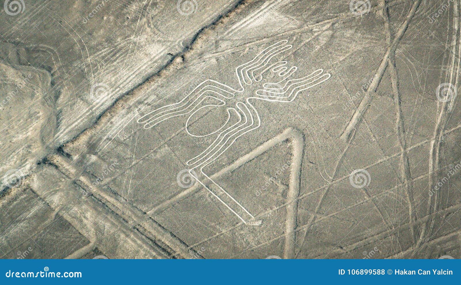 Spider Figure Made Of Modelling Balloon On Color Background Royalty ...