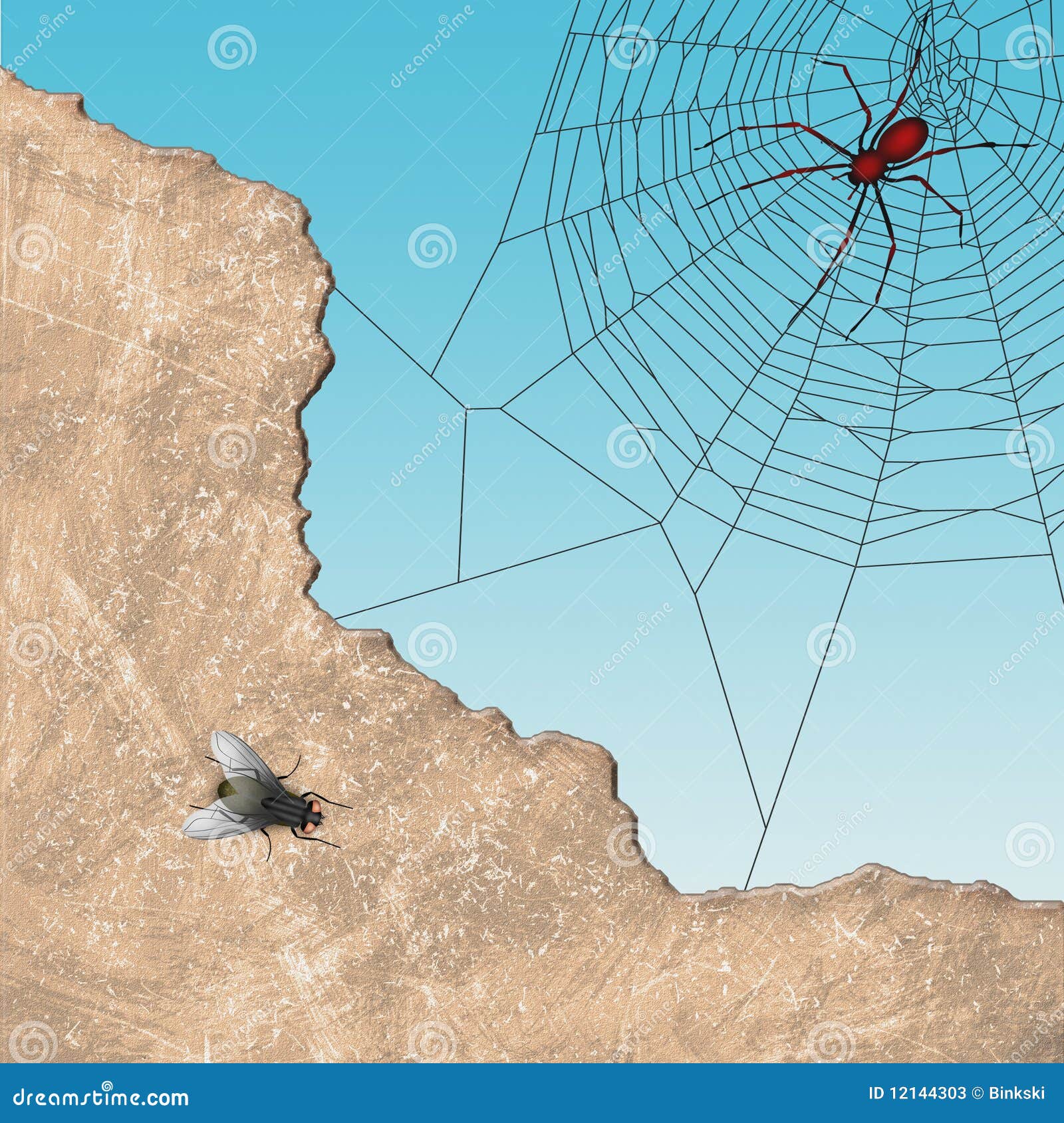 Spider and Fly stock illustration. Illustration of housefly - 12144303