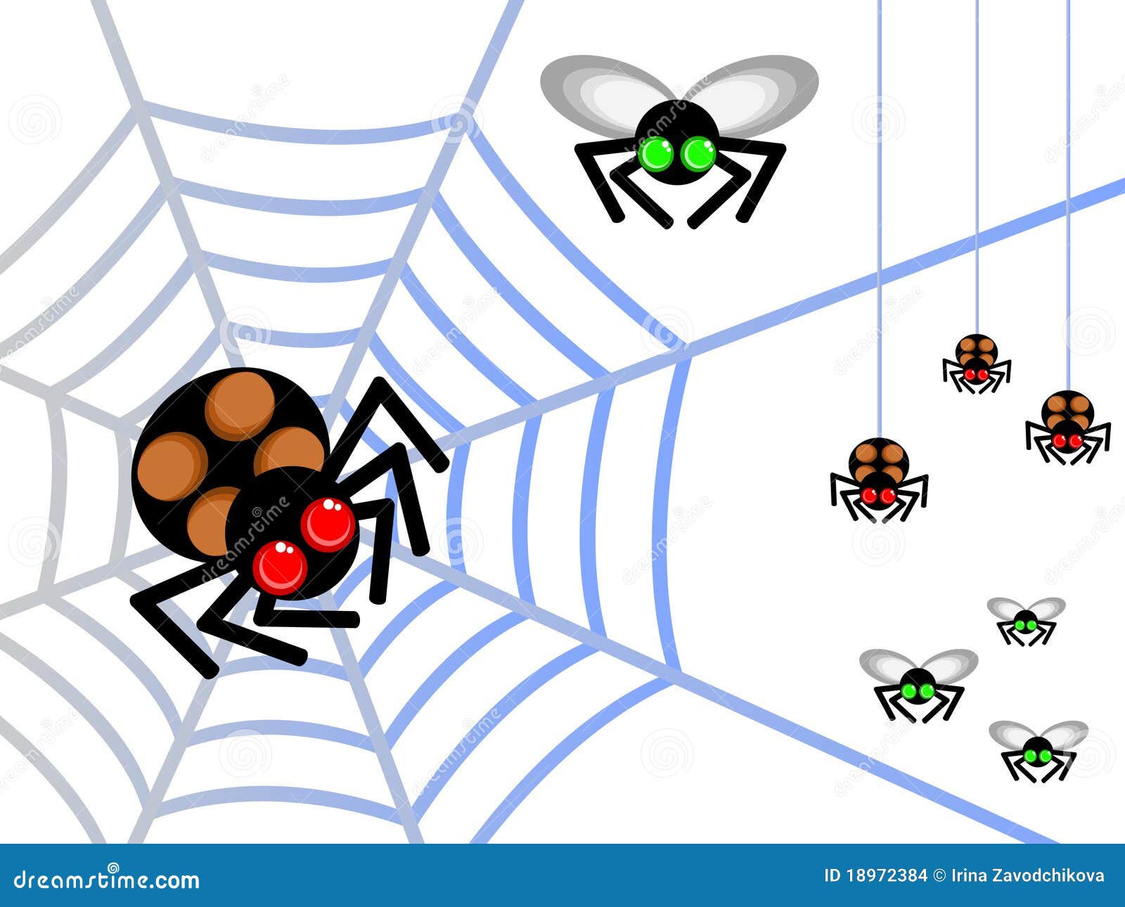 Spider and fly stock vector. Illustration of animals - 18972384