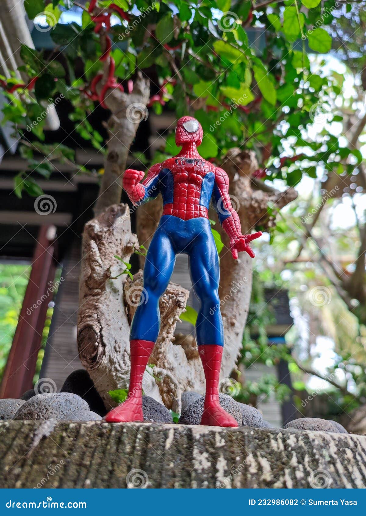 Spider in front of tree editorial photography. Image of tree - 232986082