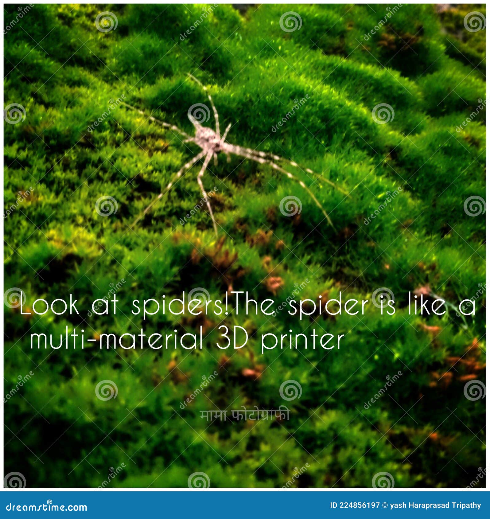The Spider on the Grass Looks Like Multi-material 3d Printer Stock ...