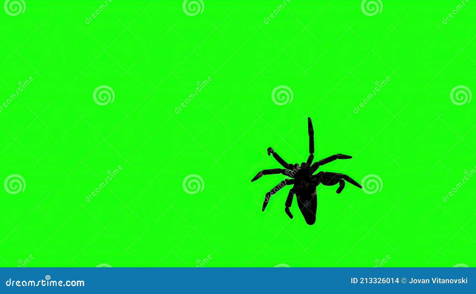 Spider Crawling Cartoon Vector Seamless Background Wallpaper-01 ...