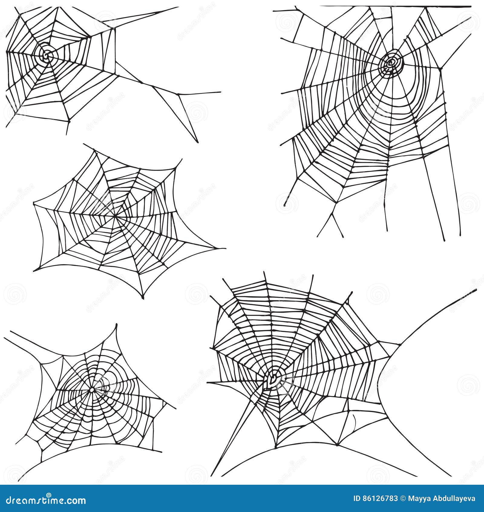 Spider Hand Drawn Sketch And Watercolor Illustrations. Watercolor ...