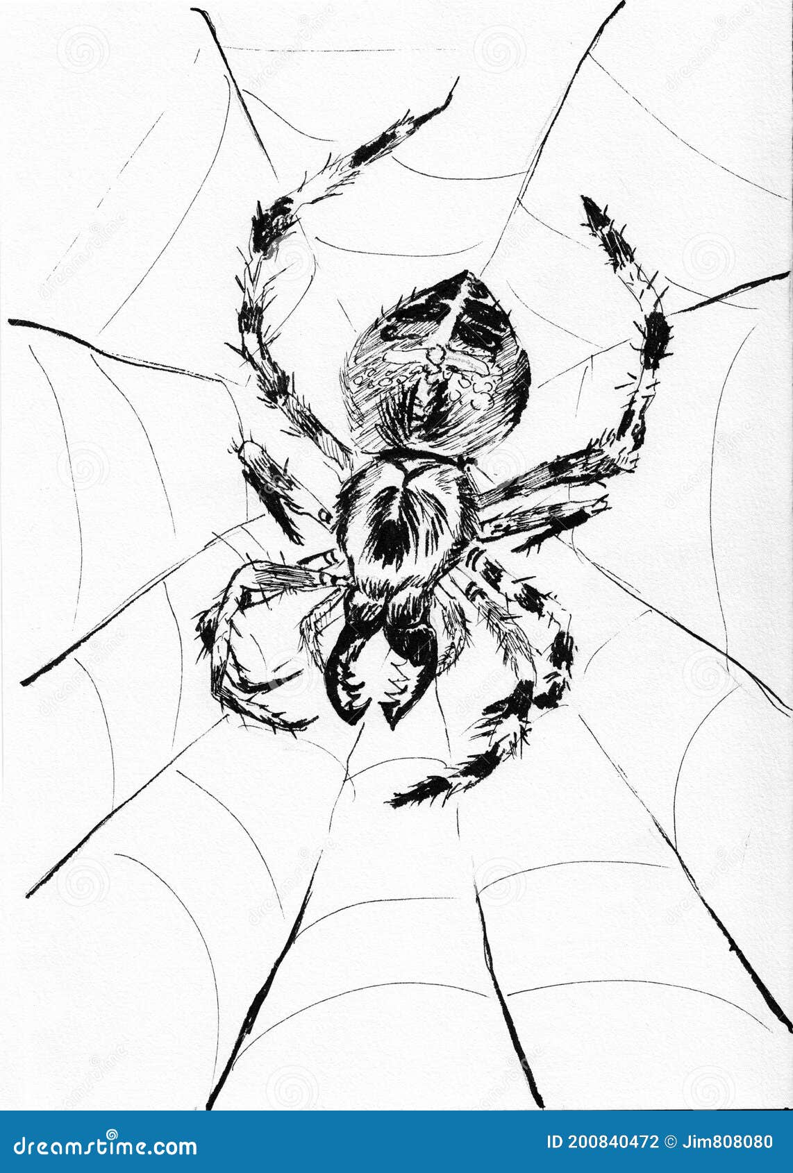 Spider hand drawn paint stock illustration. Illustration of background ...