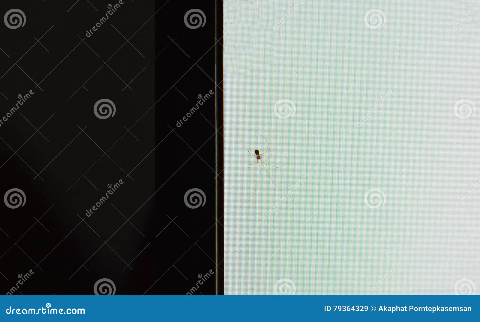 Spider Hanging on Desktop Computer Screen Stock Image - Image of spider ...