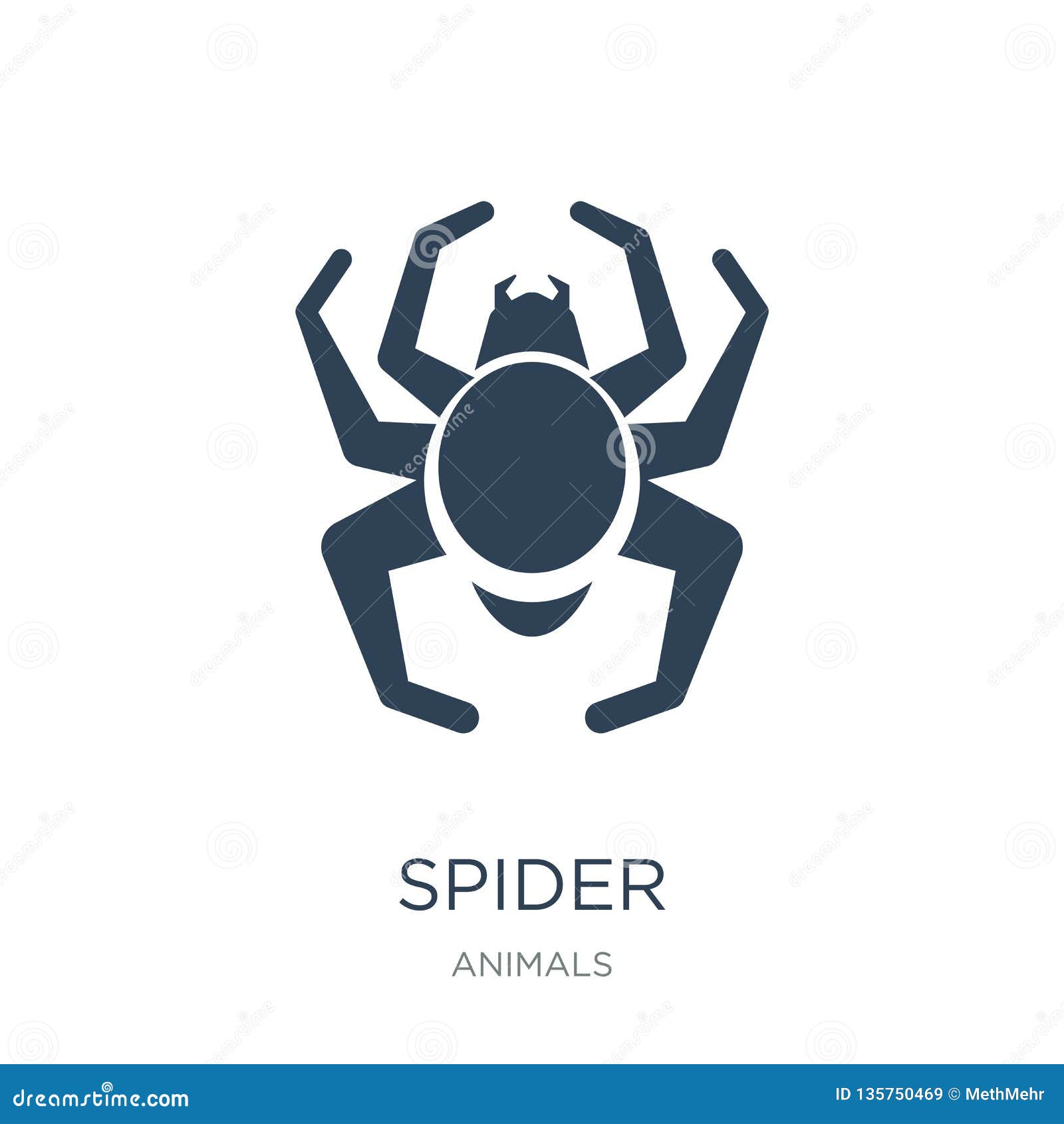 Spider Icon in Trendy Design Style. Spider Icon Isolated on White ...