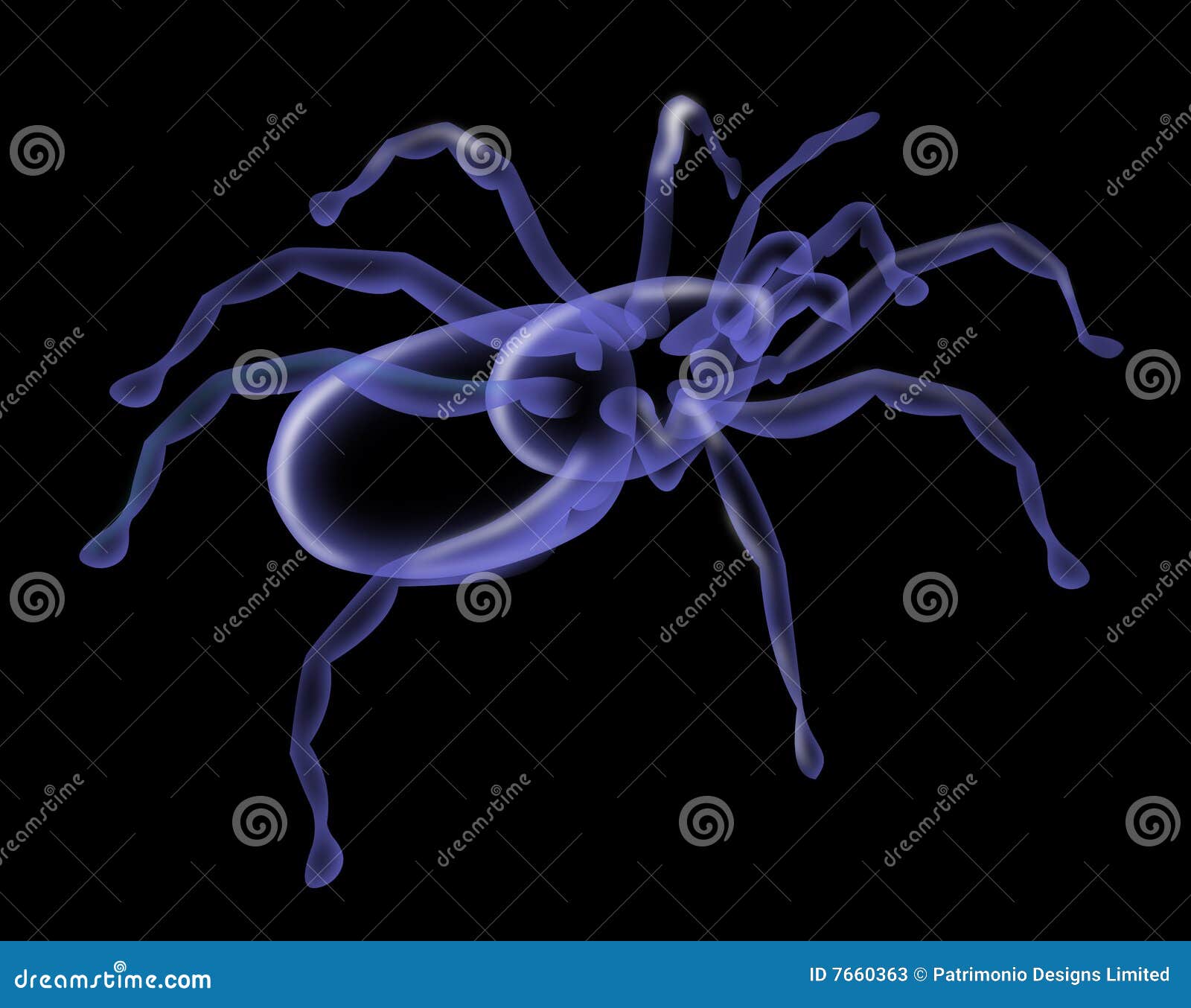 Spider Insect X-ray Stock Photos - Image: 7660363