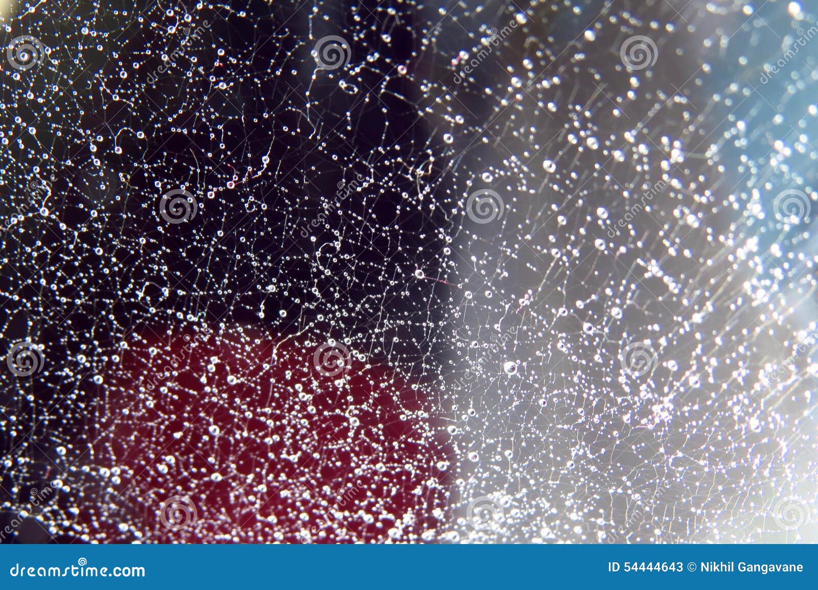 Spider Internet stock image. Image of droplet, spiderweb - 54444643