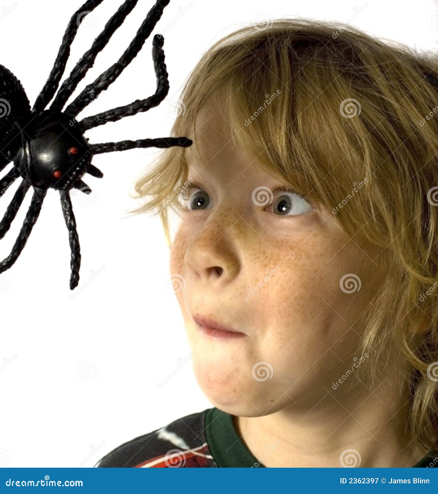 Spider Kid stock image. Image of humor, girl, grin, attractive - 2362397