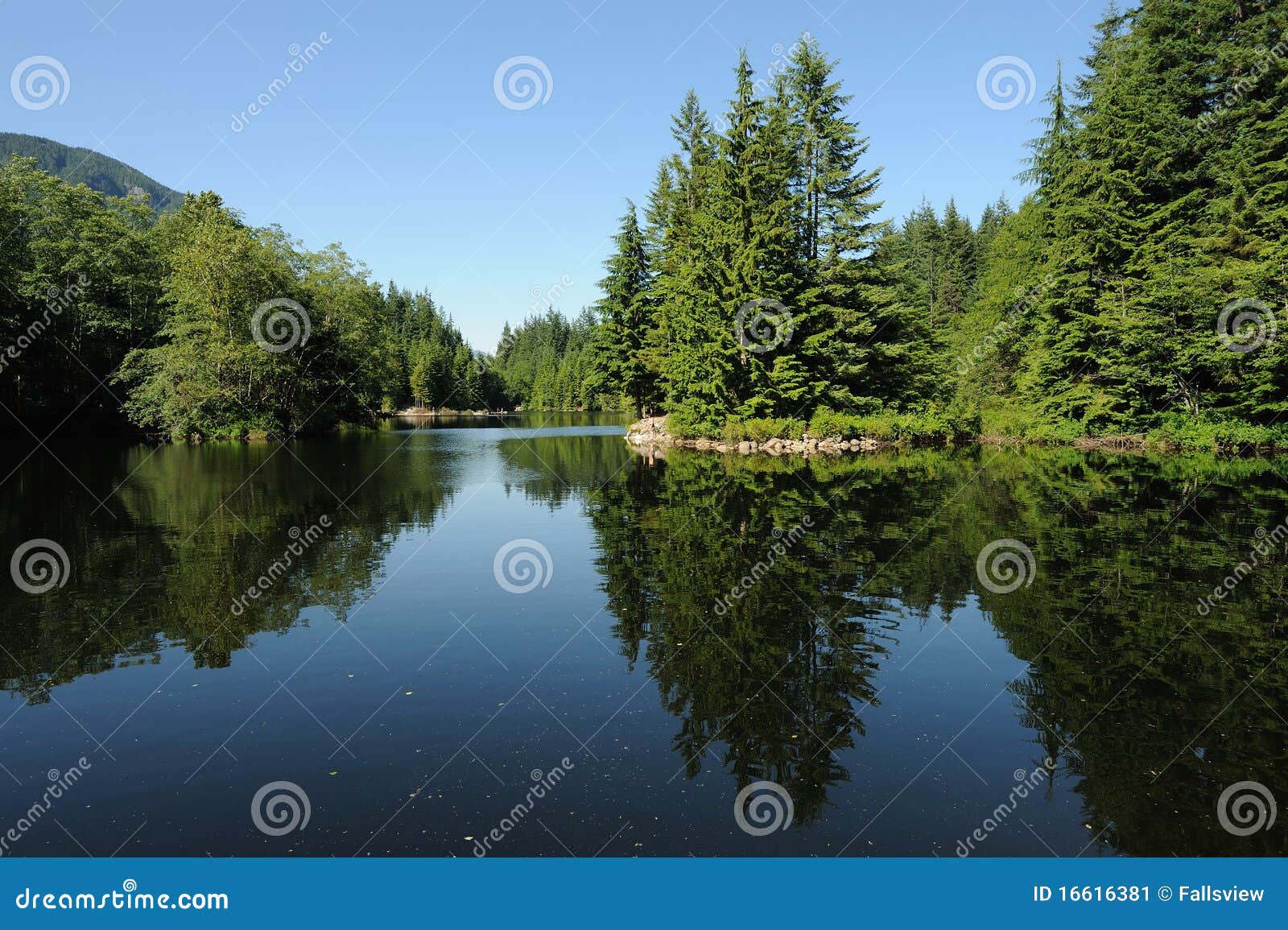 Spider lake and forest stock image. Image of serene, serenity - 16616381