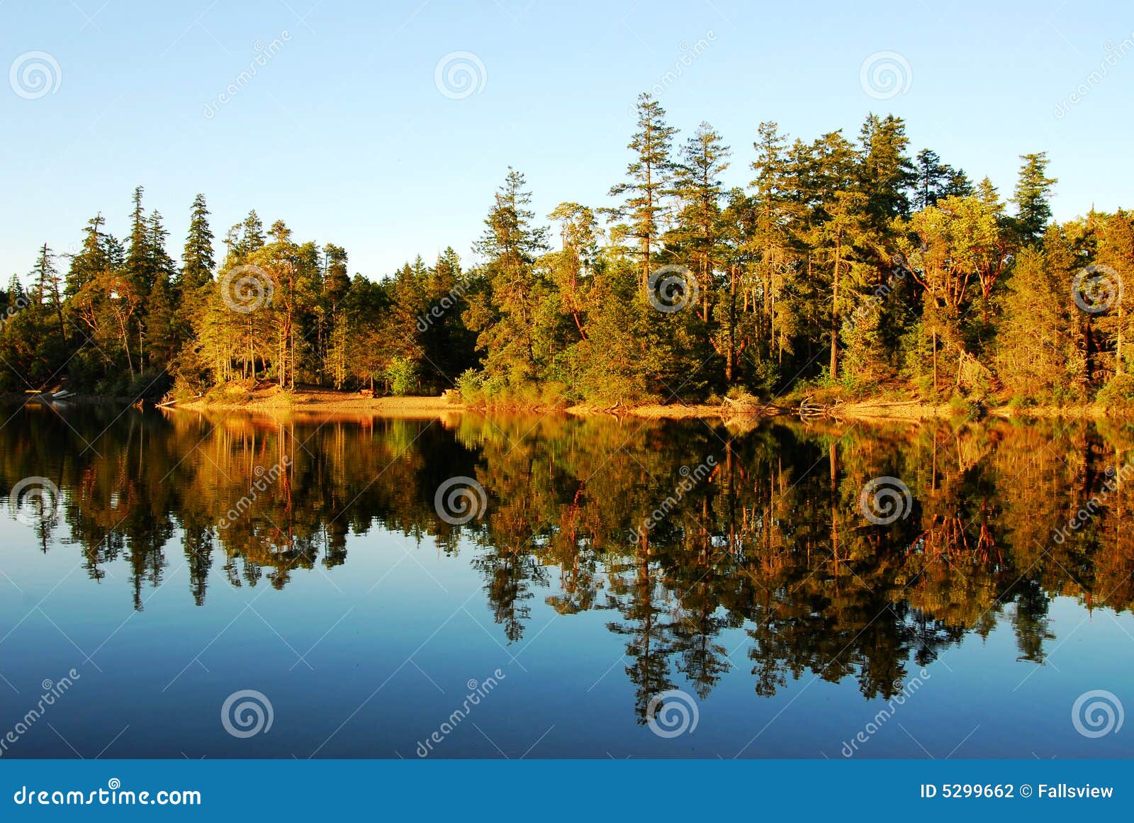 Spider On A Web Sunset Stock Photography | CartoonDealer.com #77543906