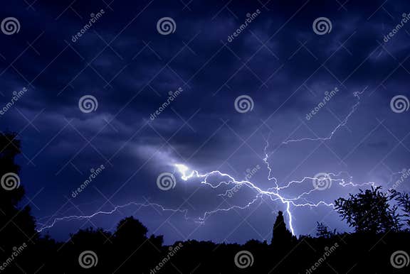 Spider Lightning stock photo. Image of forground, dark - 25363636