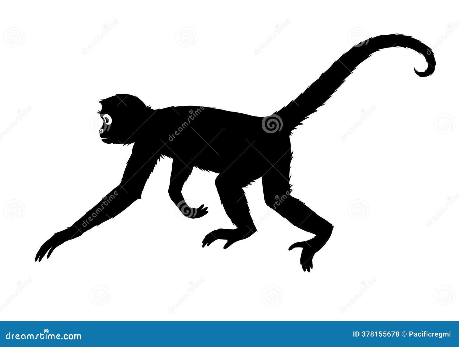 Spider Monkey Animal Coloring Page For Kids Cartoon Vector ...
