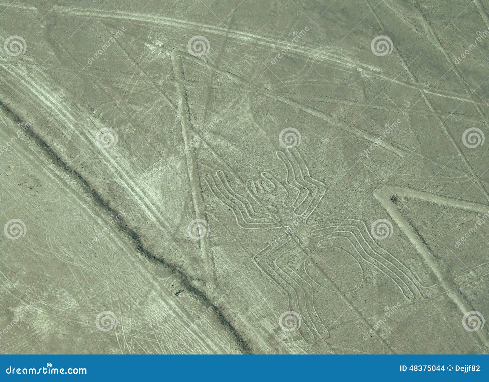 Spider, Nazca Lines stock photo. Image of head, large - 48375044