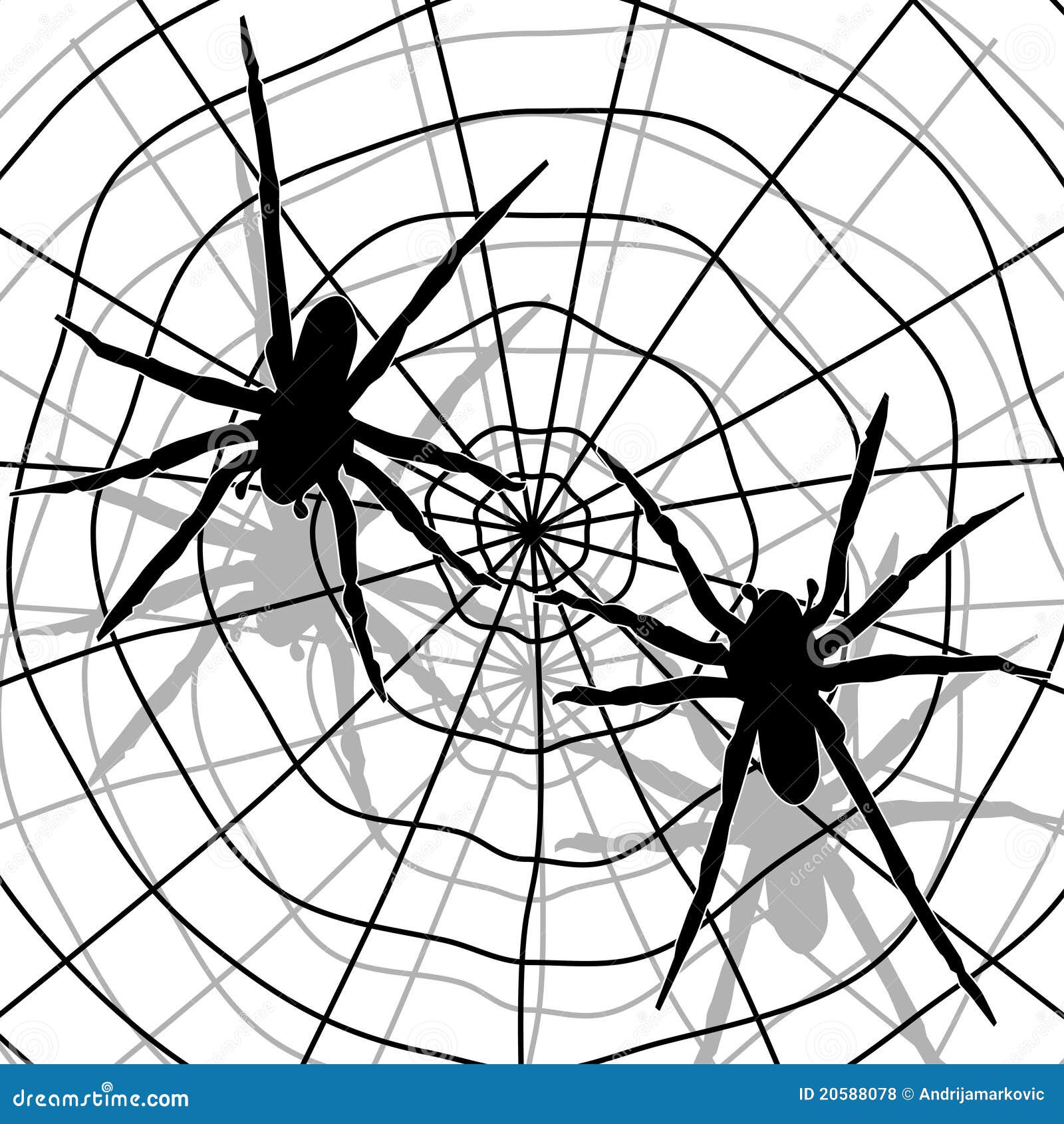 Spider and network stock vector. Illustration of close - 20588078