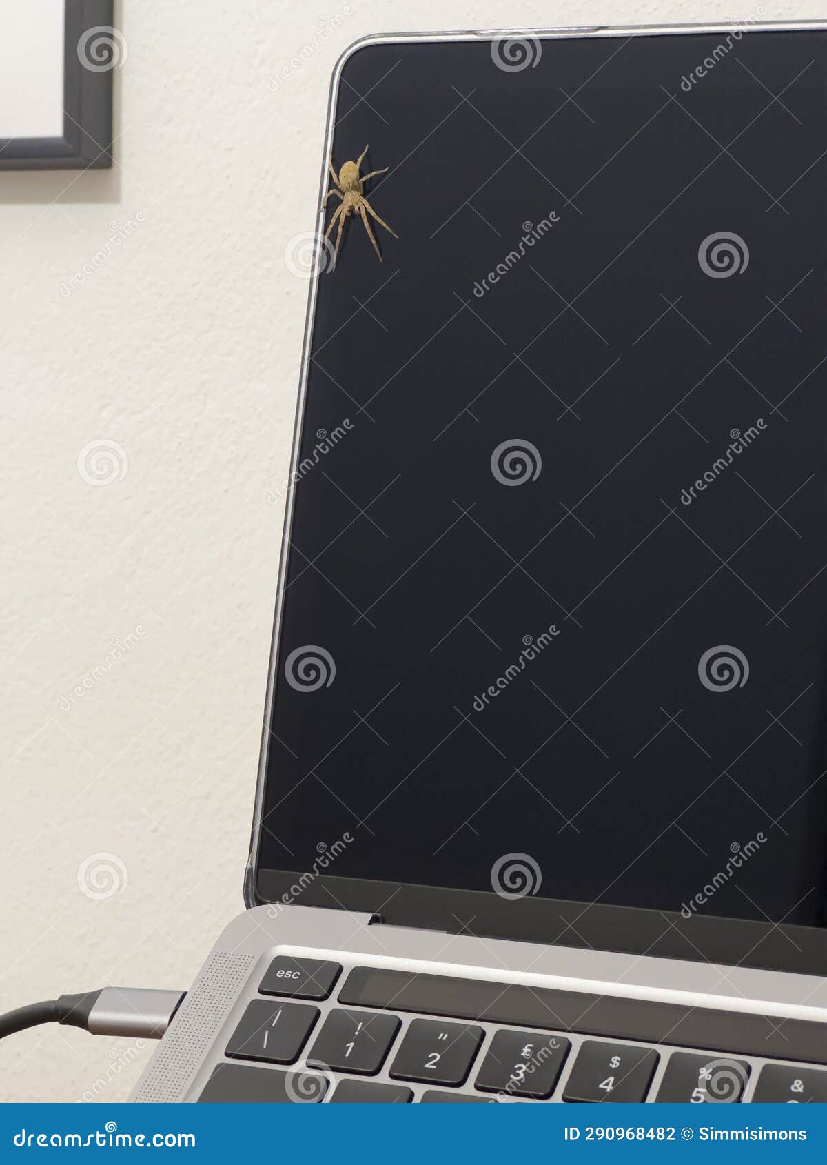 A spider in the office stock photo. Image of meeting - 290968482