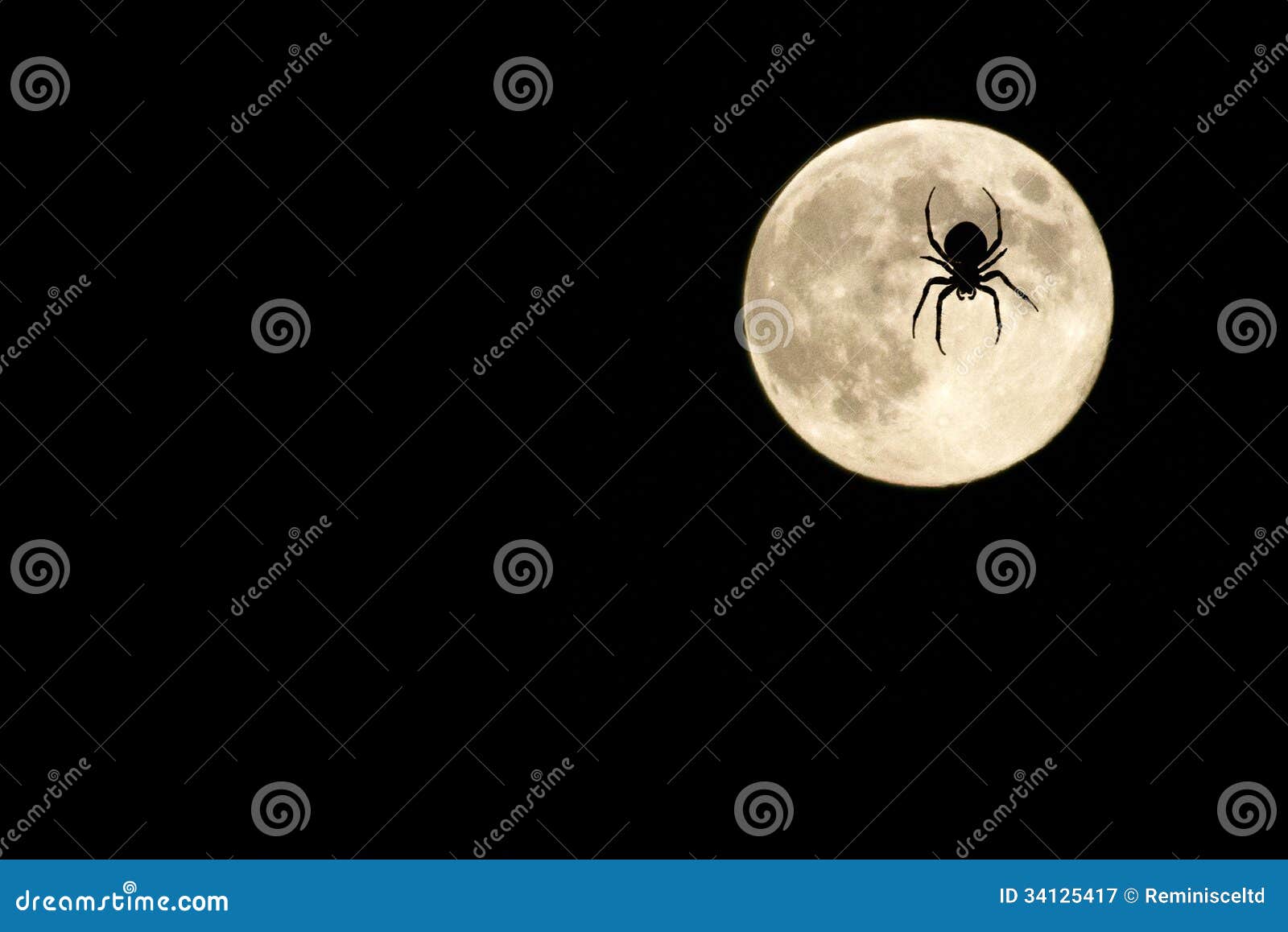 Spider over moon stock image. Image of moonlight, arachnid - 34125417