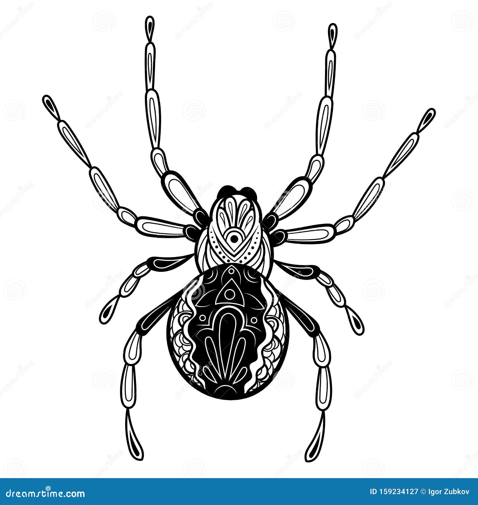 Spider with Patterns. Zentangle Spider. Black-white Illustration of an ...