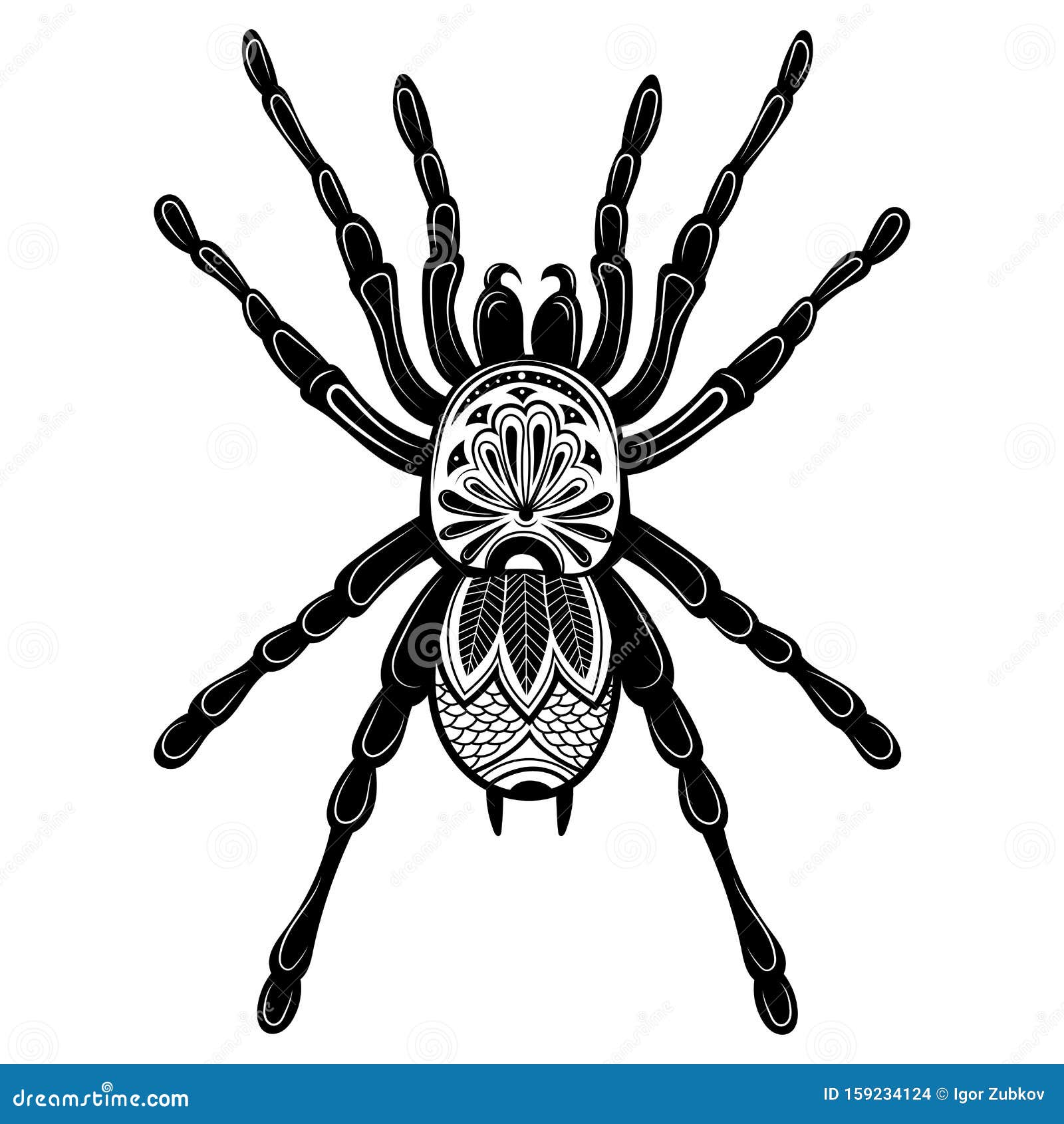 Spider And Web Stylized Illustration Vector | CartoonDealer.com #56982601