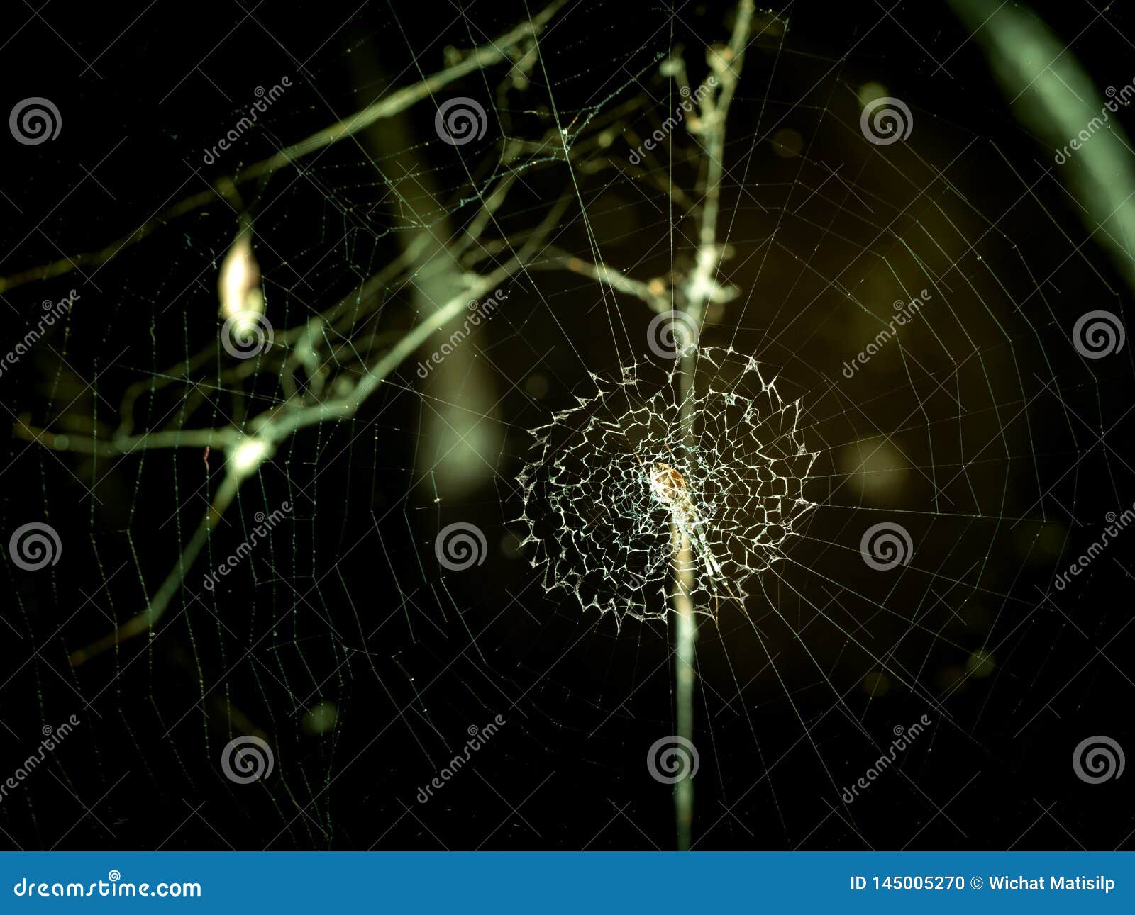 Spider Pulling Strings Shaped Similar To the Sewing Machine Stock Photo ...