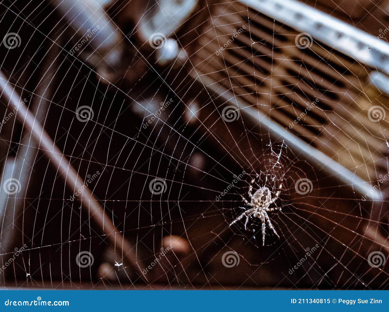 Spider Web On Rusty Metal Fence Background. Royalty-Free Stock Photo ...
