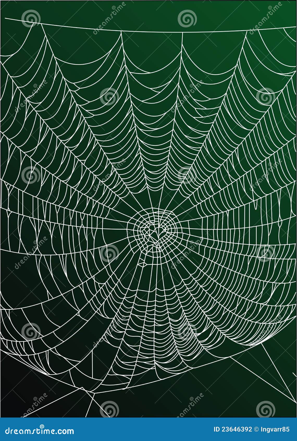 Spider s web stock vector. Illustration of design, araneus - 23646392