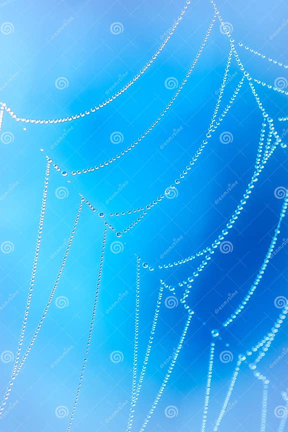 Spider S Web on Blue Background Stock Photo - Image of background ...
