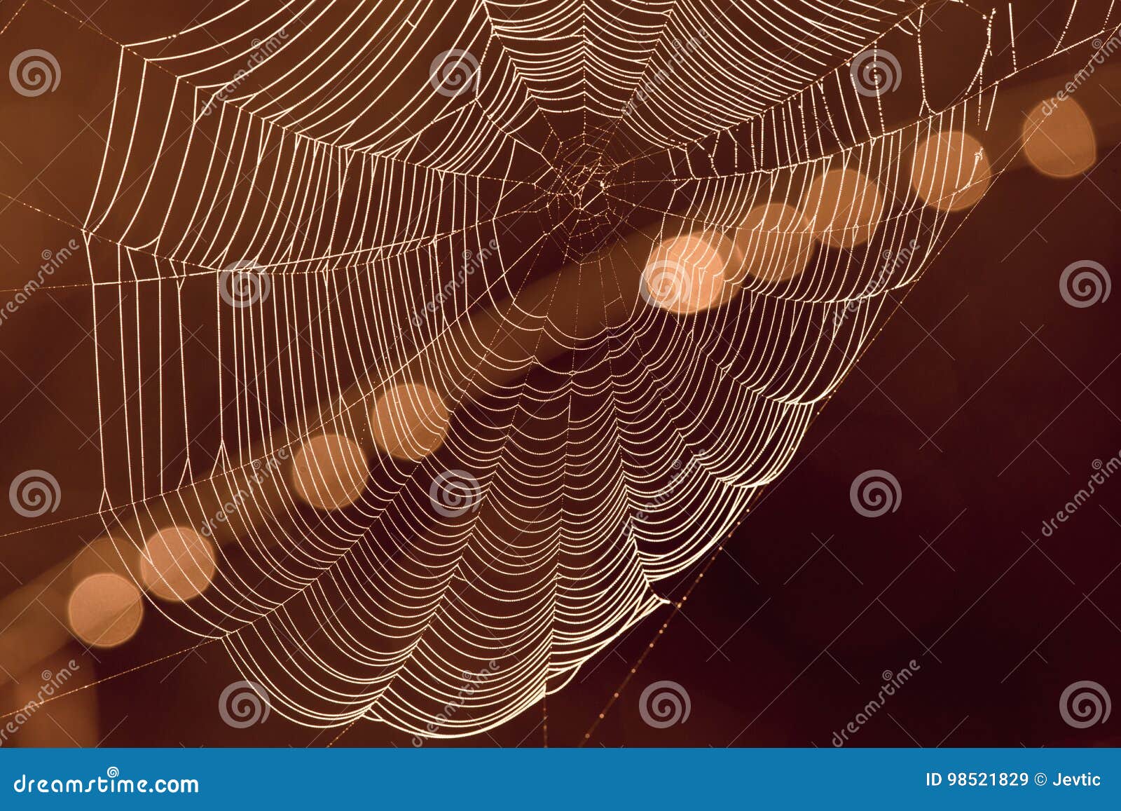 Spider`s Web with Light Spots in Background Stock Image - Image of drop ...