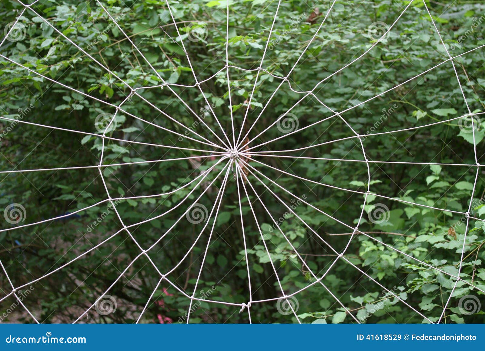 Spider S Web Woven with Synthetic Yarns in Green Forest Full of Stock ...