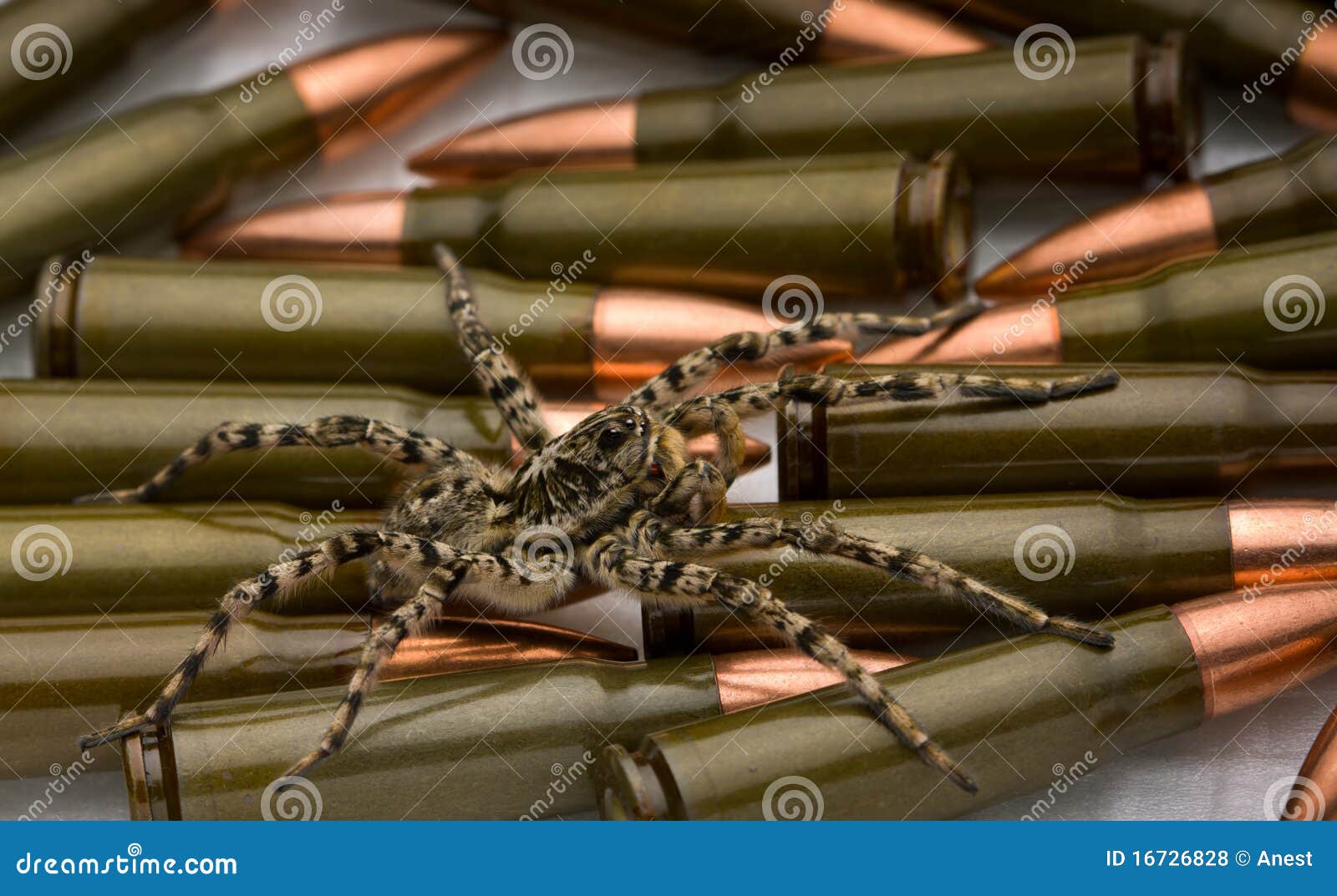 Spider safeguard weapon stock photo. Image of equipment - 16726828