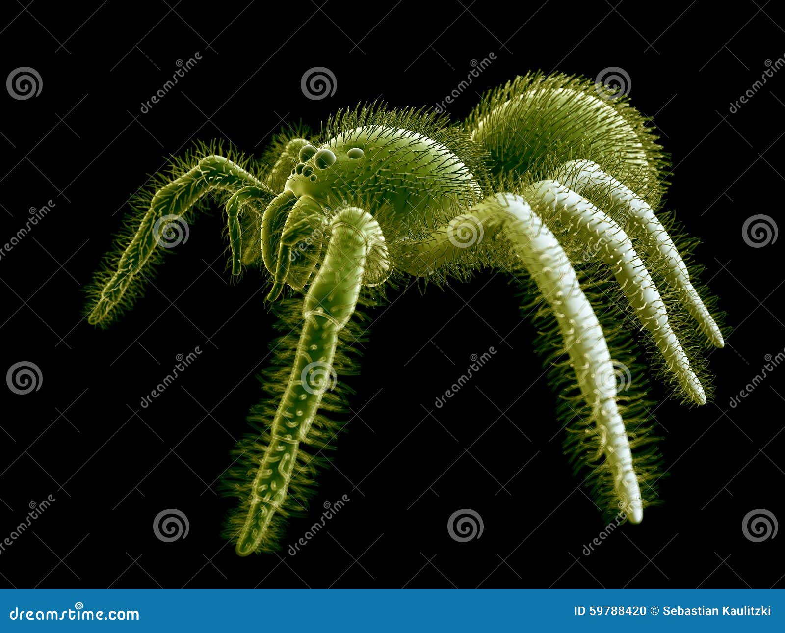 Ocelli Cartoons, Illustrations & Vector Stock Images - 139 Pictures to ...