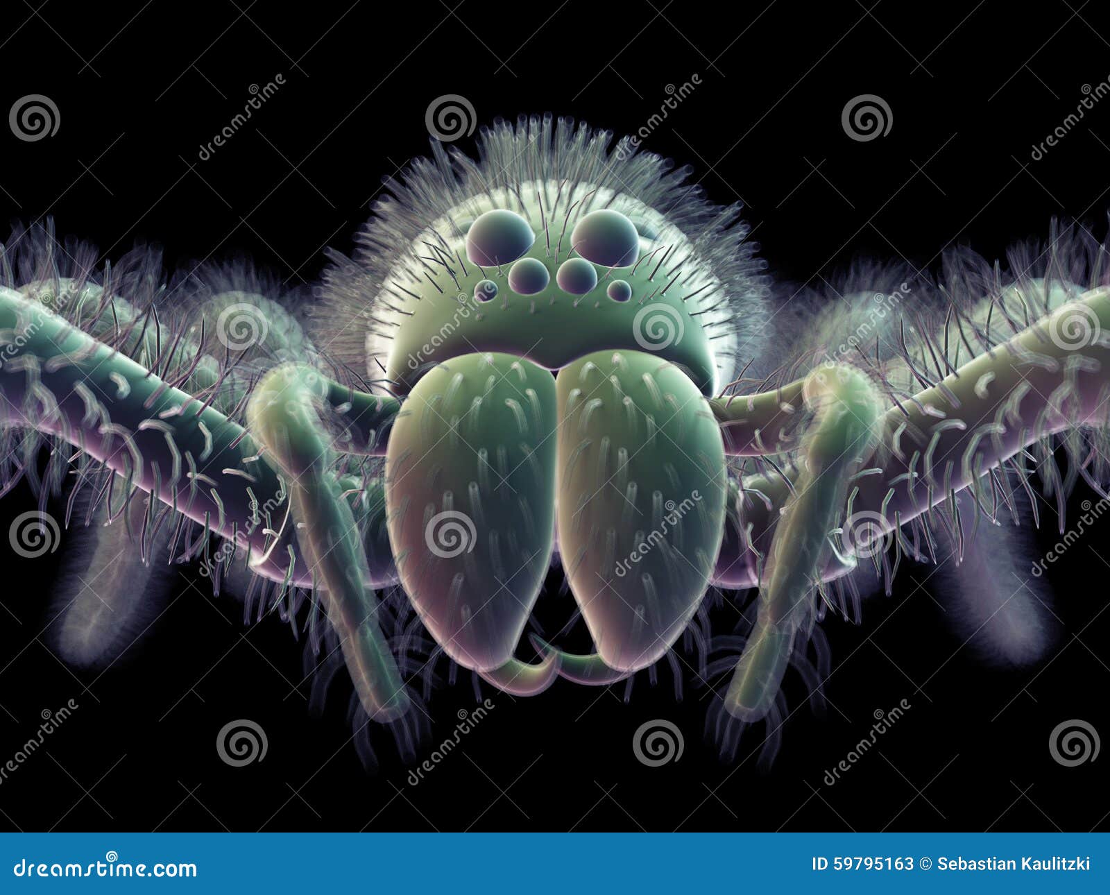 A spider stock illustration. Illustration of biological - 59795163