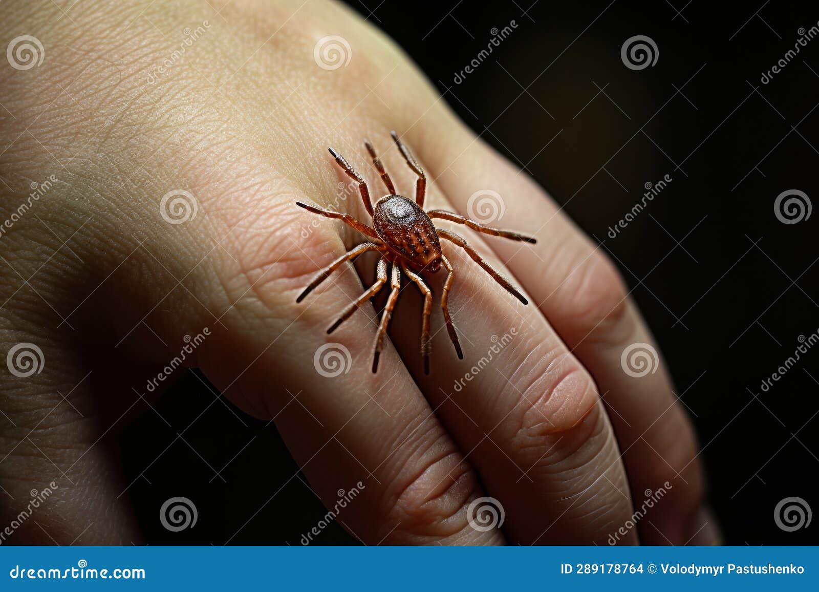 Spider Sitting on Persons Hand with Ring on it. Generative AI Stock ...