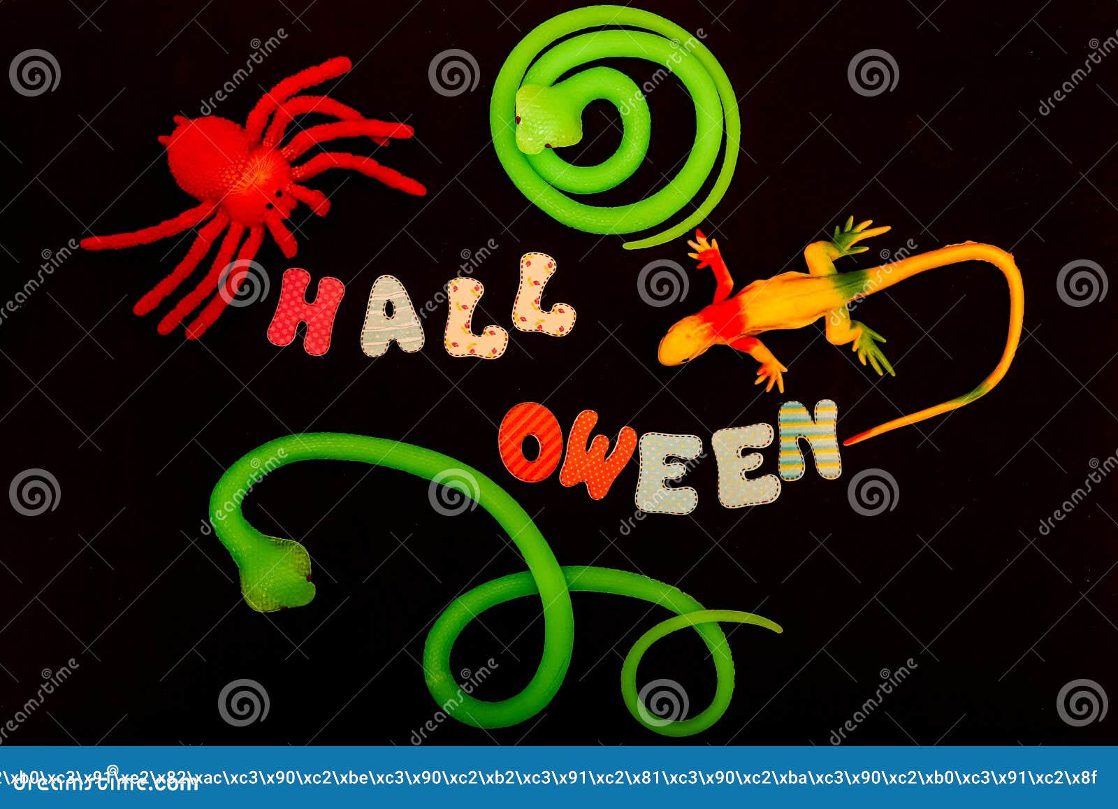 Spider, Snake and Lizard on a Black Background Bright Composition for ...